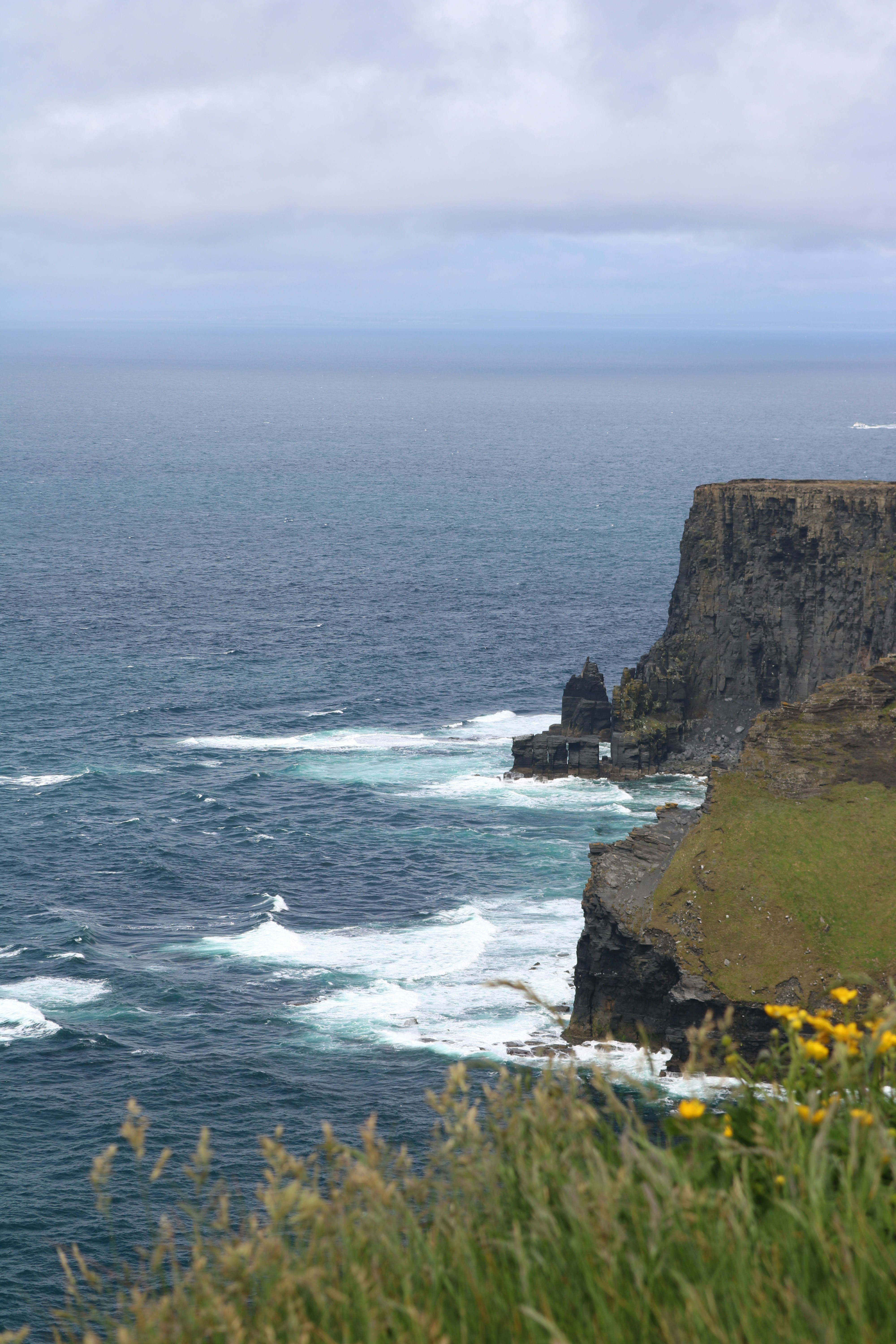 Edge of the Cliffs: Ocean Veil and Yellow Wildflowers