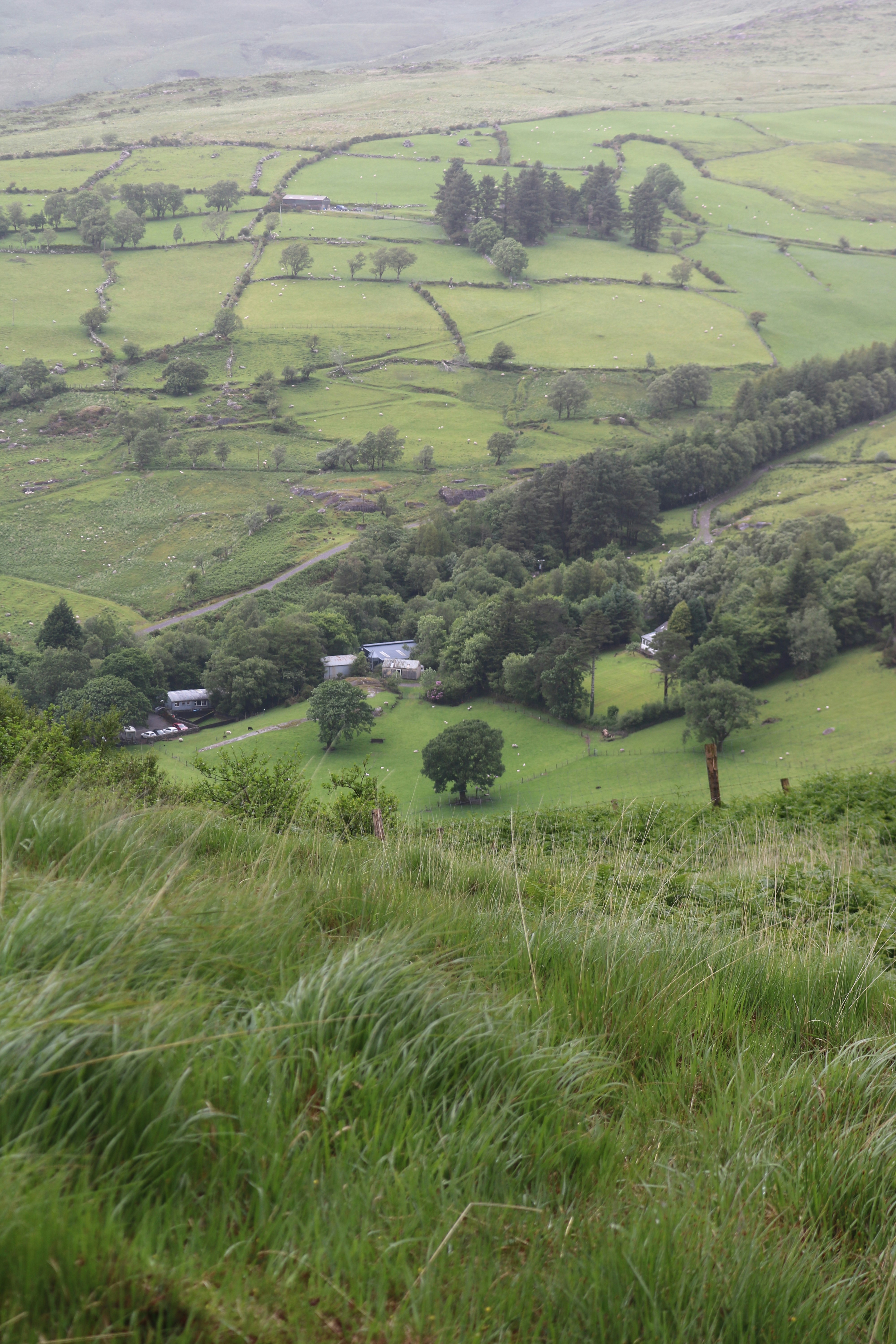 Patchwork Pastures from a Grass-Blue Hill