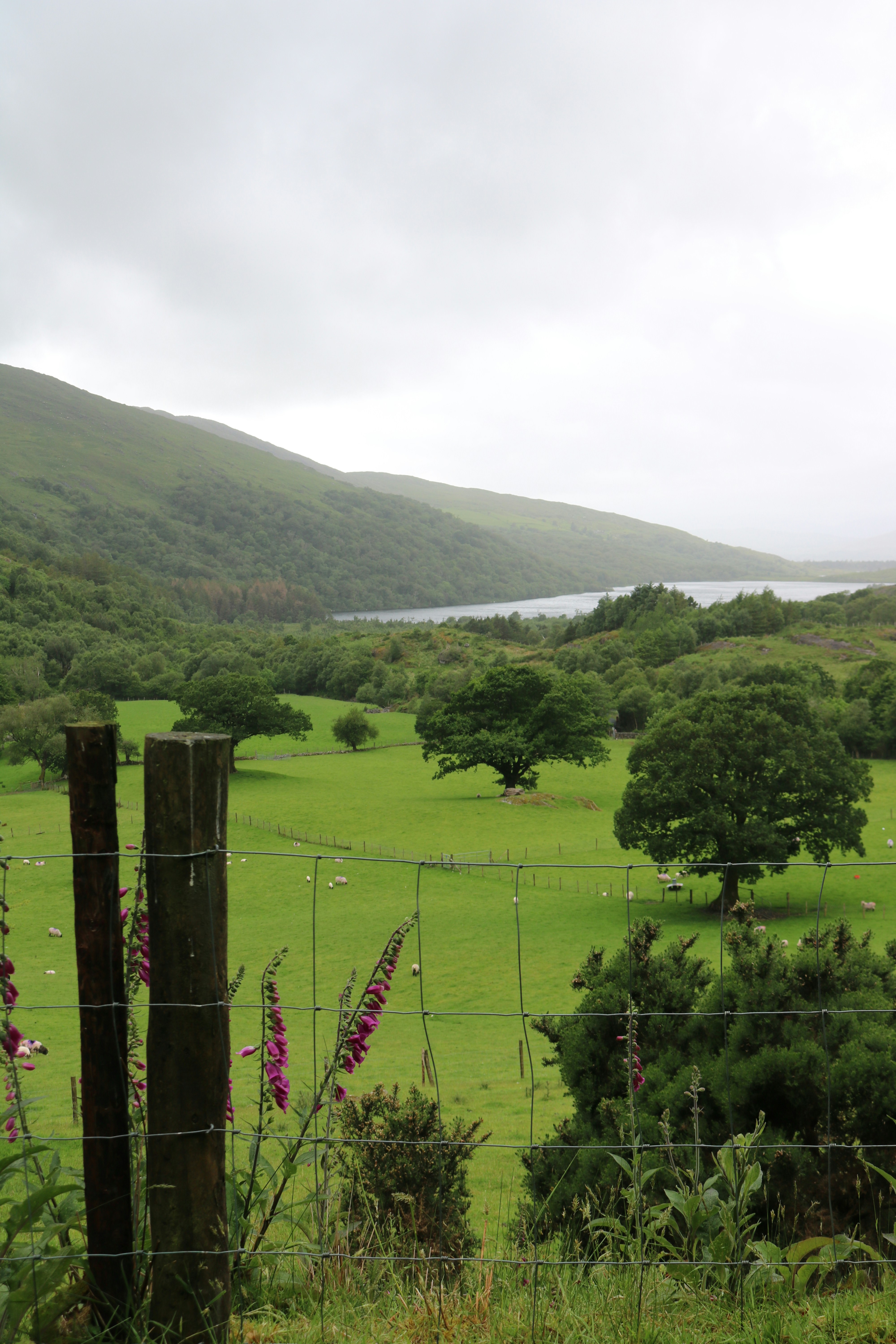Pastoral Valley Beyond the Fence and Lake