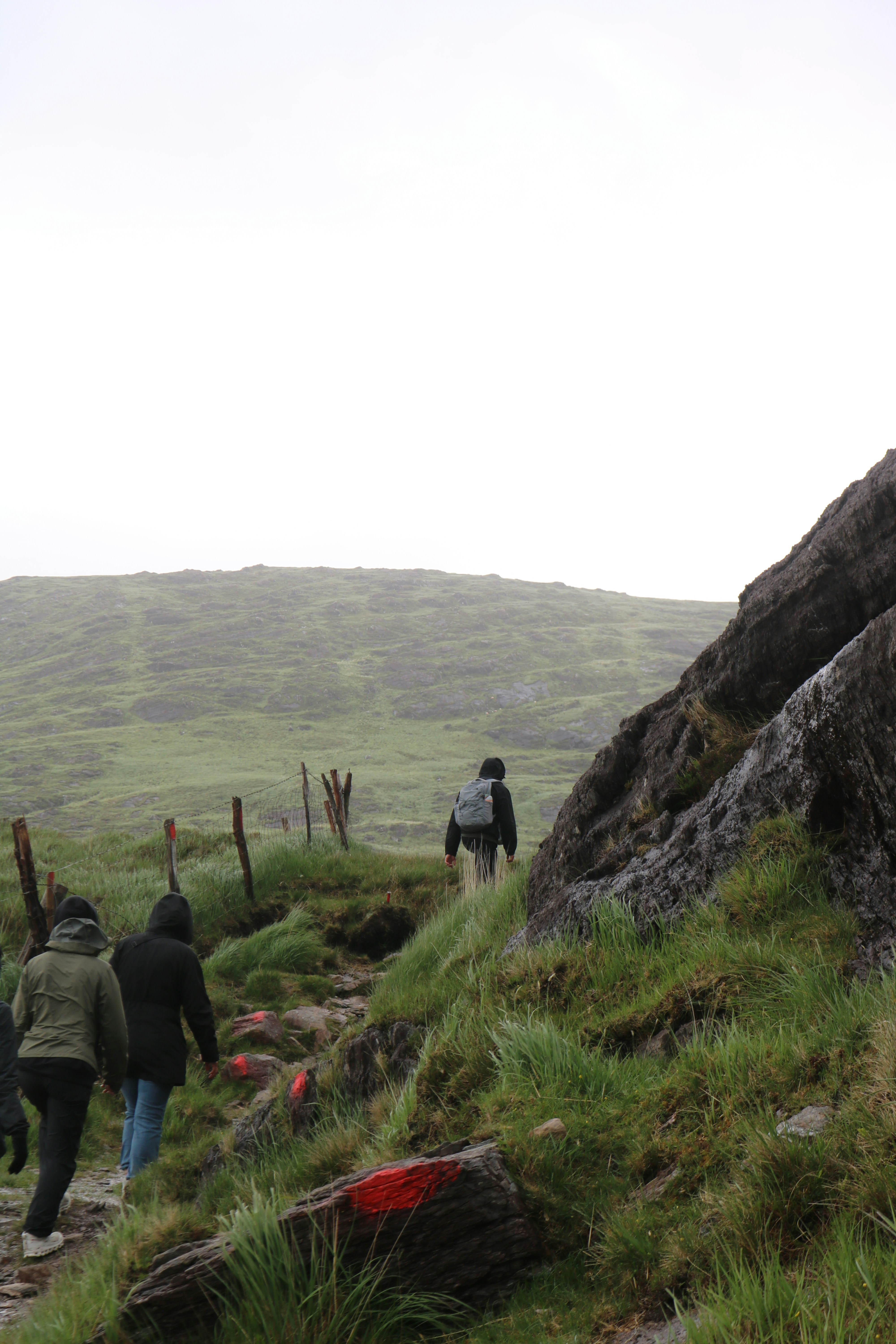 Hikers Ascend a Wind-Scoured Moor along a Rugged Cliffside Path