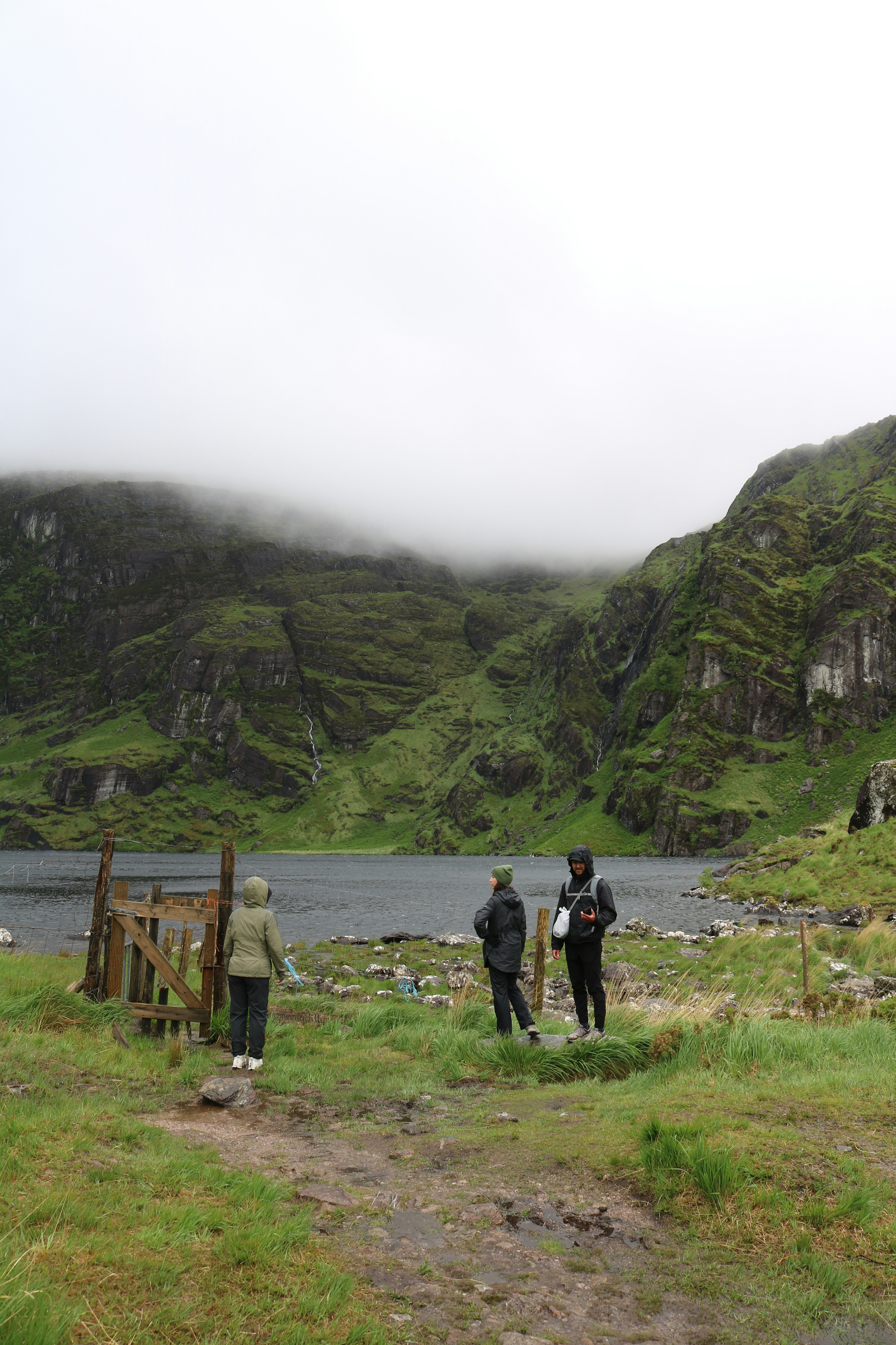 Mist over the Fjord: Travelers at the Gate to Green Cliffs