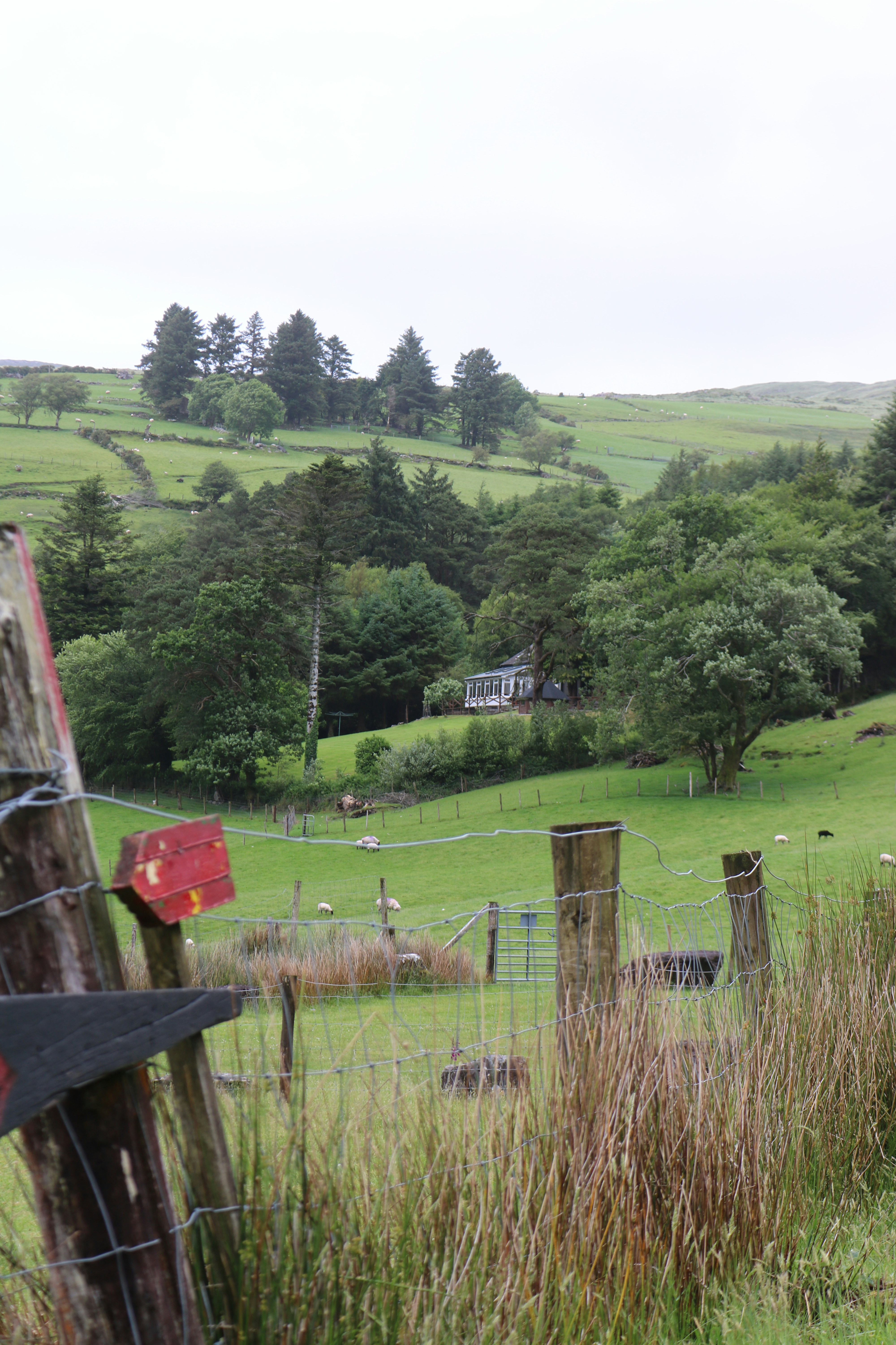 Pastoral Panorama: A Quiet Farm tucked in Rolling Green Hills