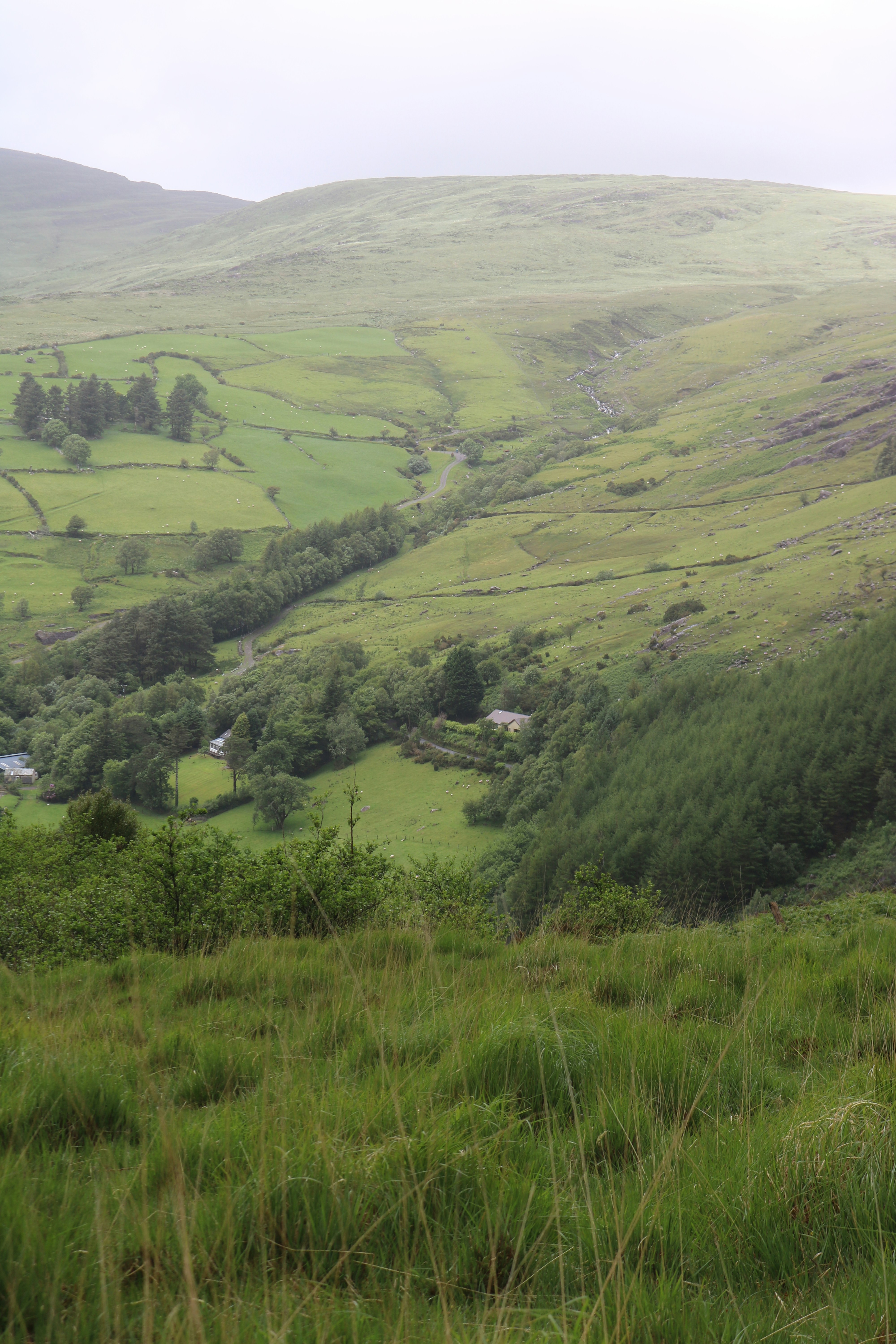 Valley Verge: Quiet Green Slopes and Farmsteads