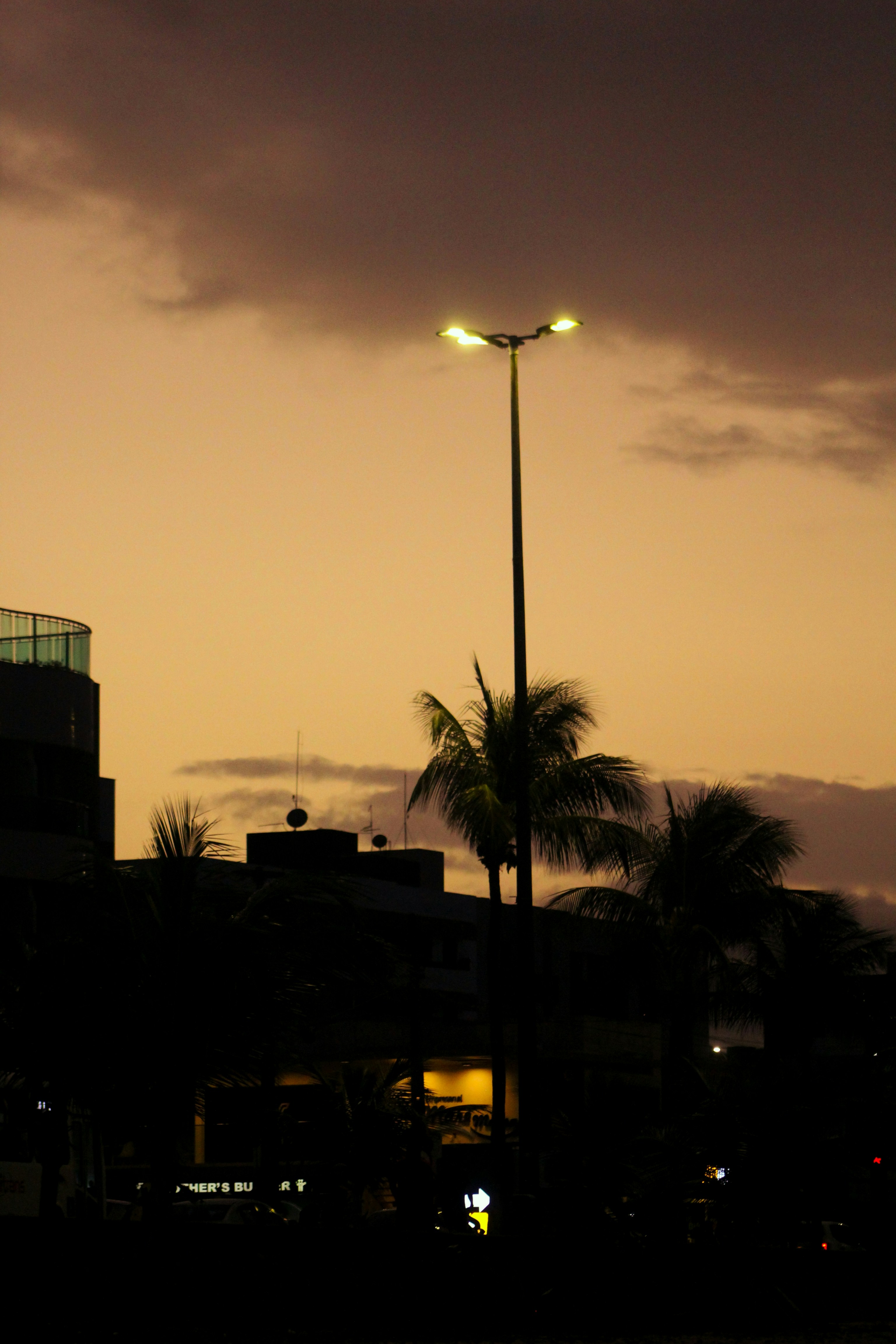 Golden Hour Veil: City Silhouette Under Urban Nightfall
