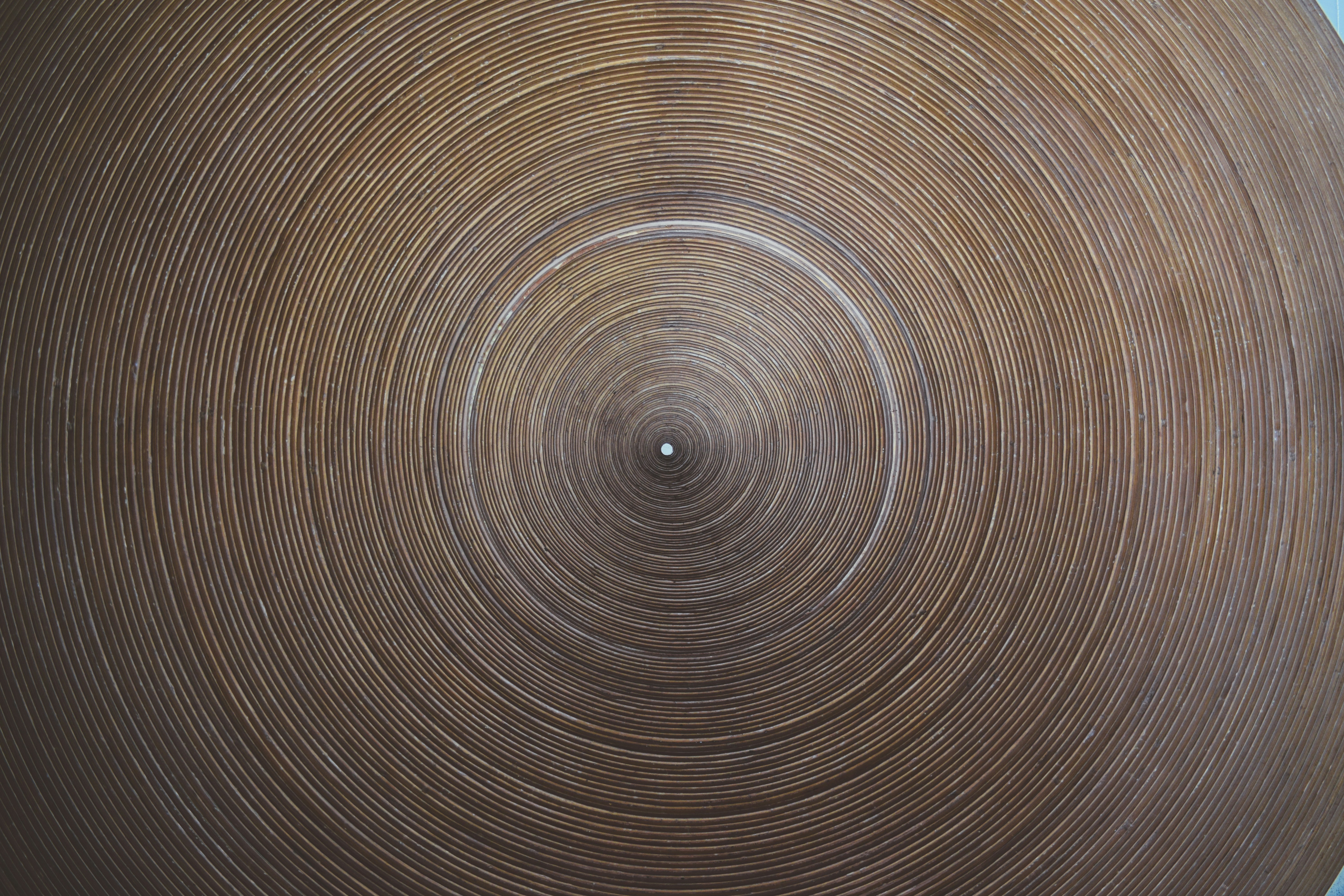Centered Concentric Core: A Minimalist Metal Ring Portrait