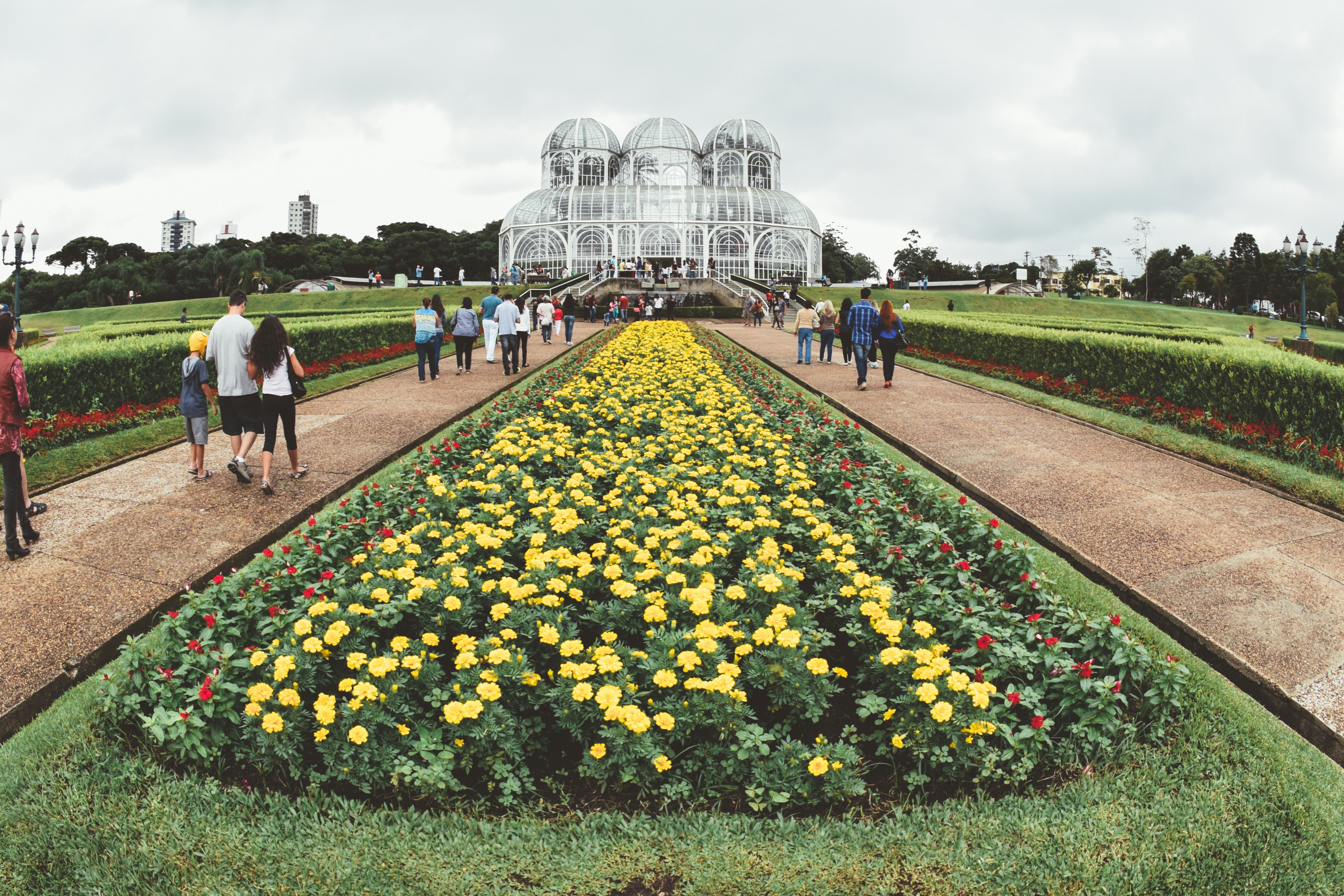 Converging Veranda: A Symphonic Path through Sunlit Yellow Gardens