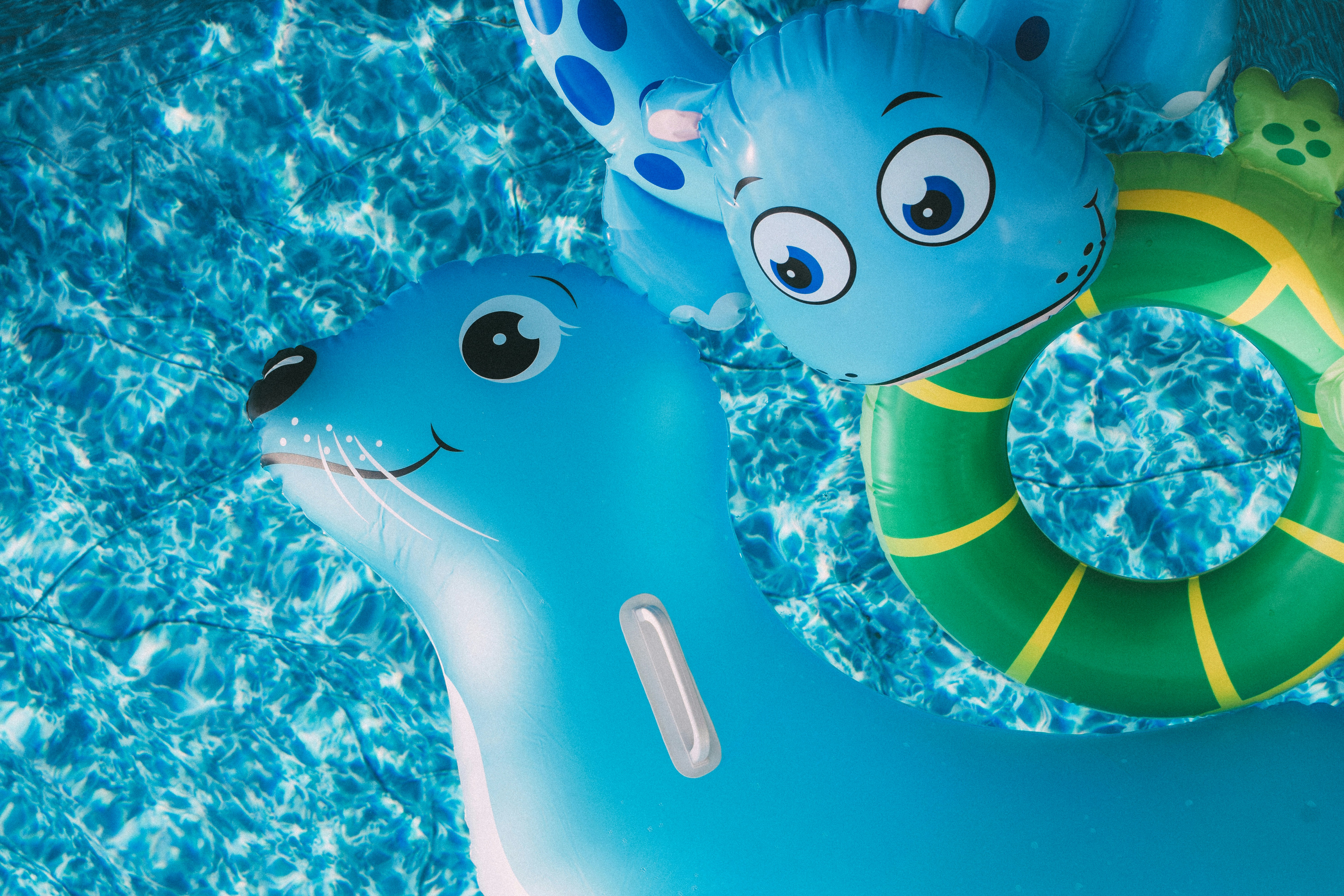 Floating Cheer: The Blue Seal and Friends on a Pool Day