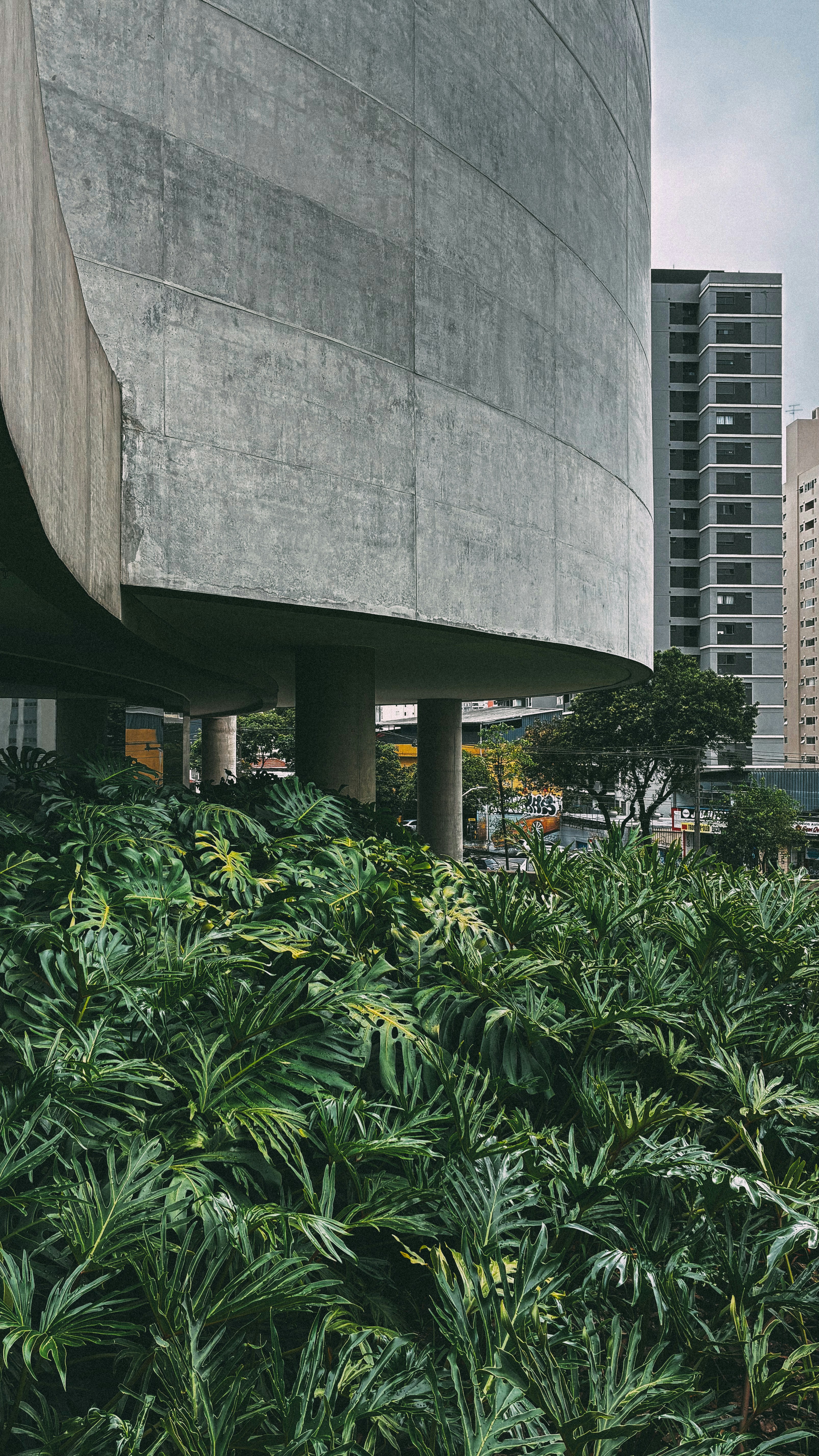 Concrete Curves Over Green Veil