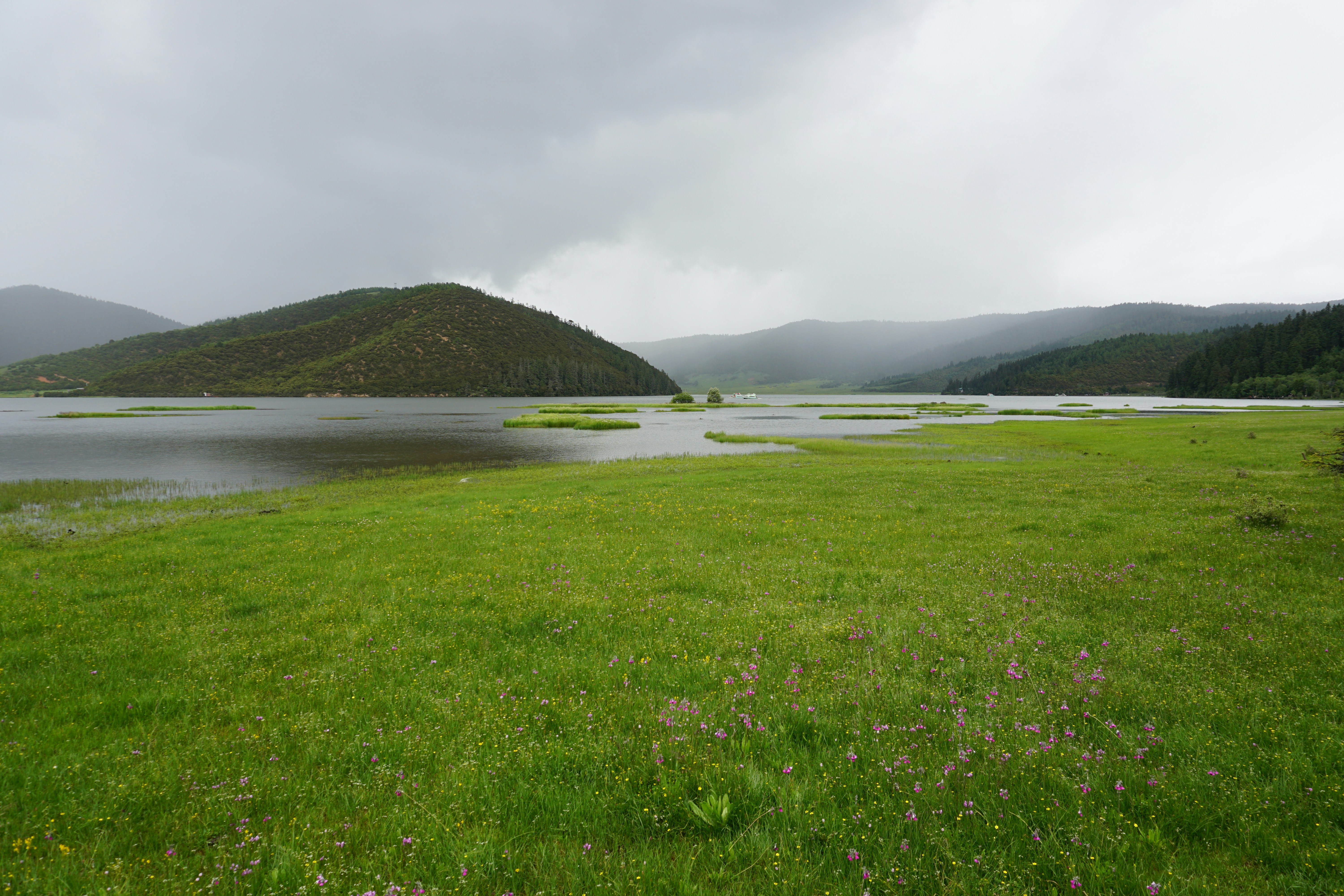 Green meadow meets calm lake under overcast skies; distant hills and small island-like landforms create depth in a serene landscape.