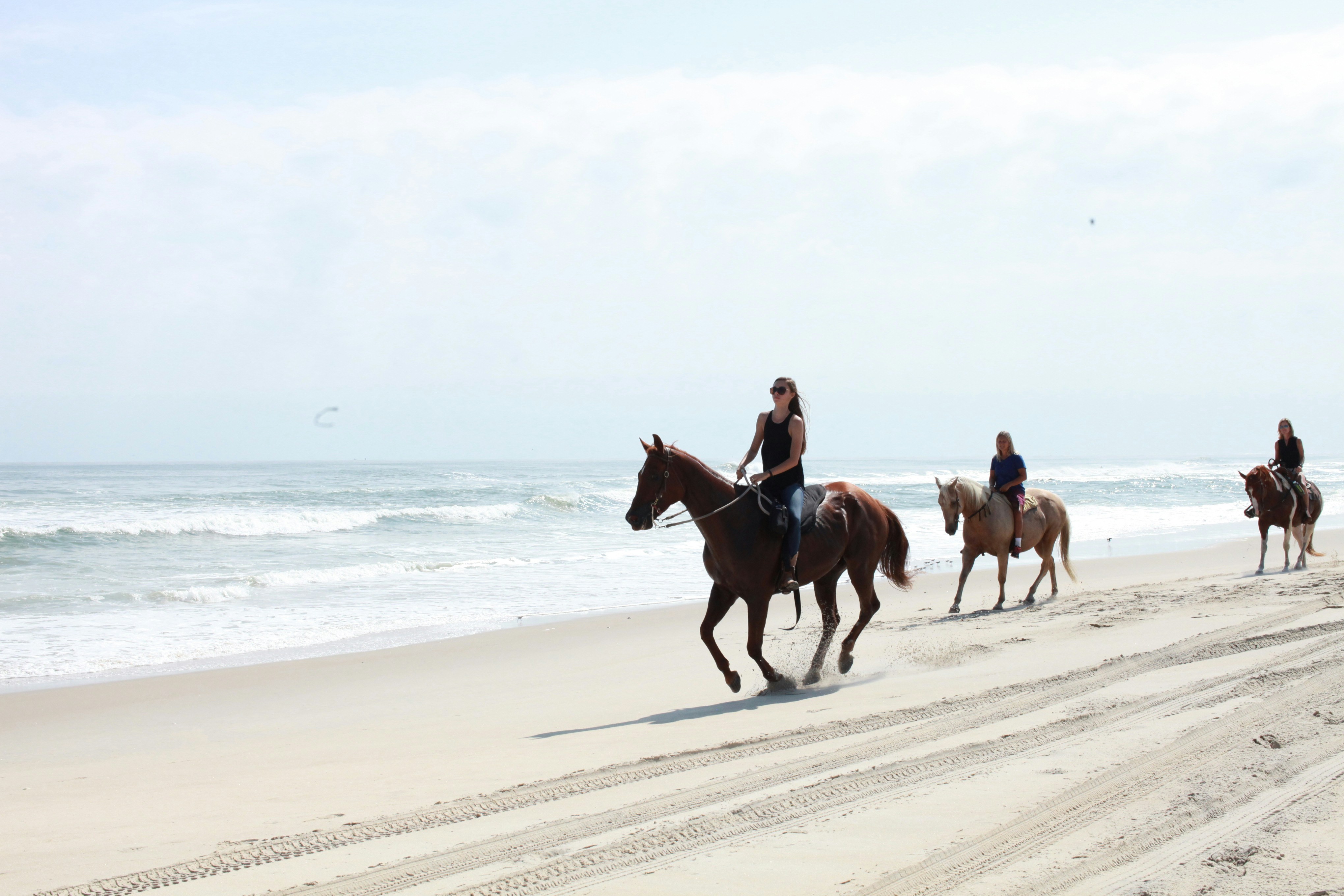 Lines in the Sand: Riders Gallop Along a Sunlit Shore