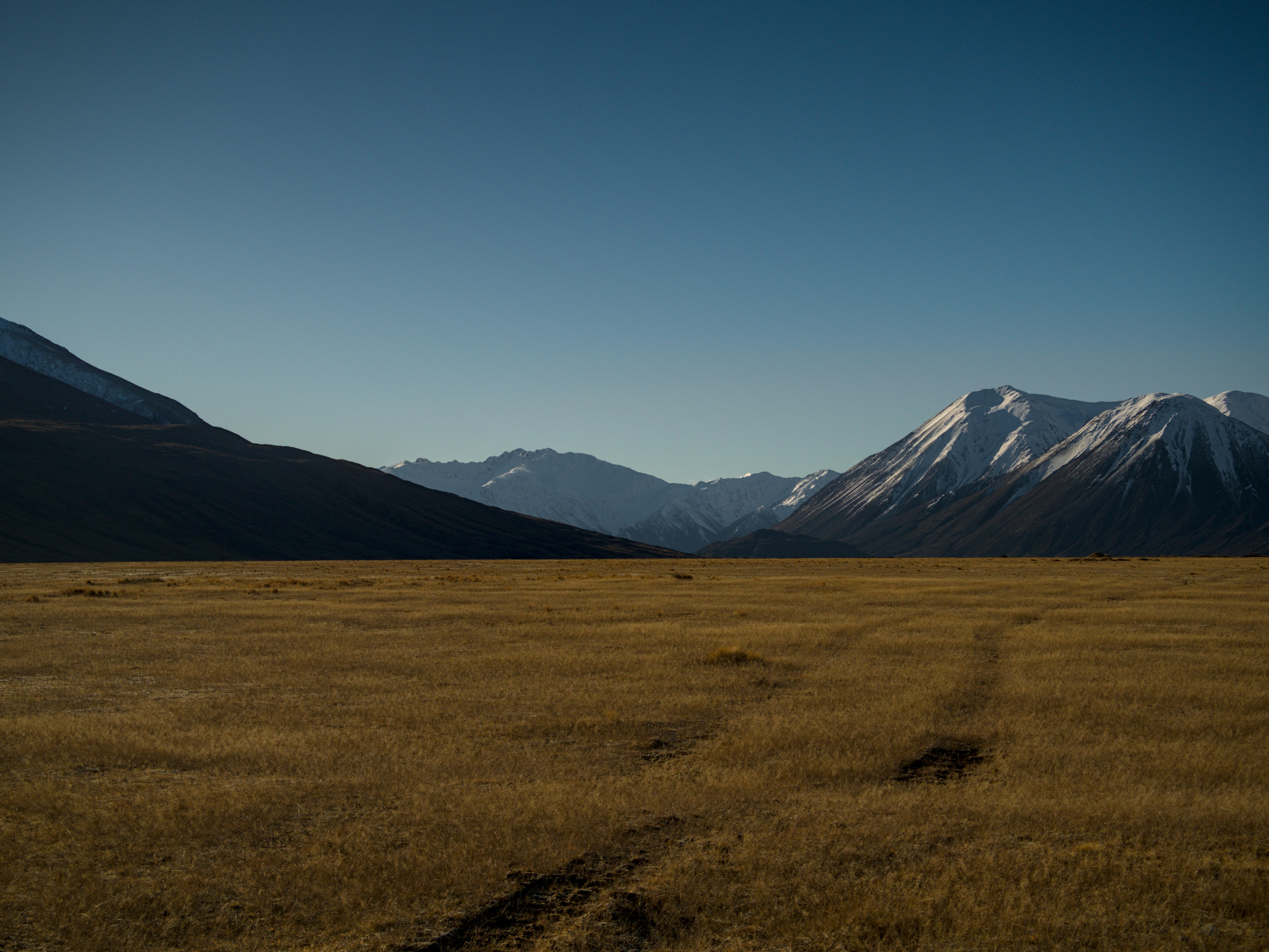 Golden Meadow Echoes: Alpine Ridge Under Clear Sky