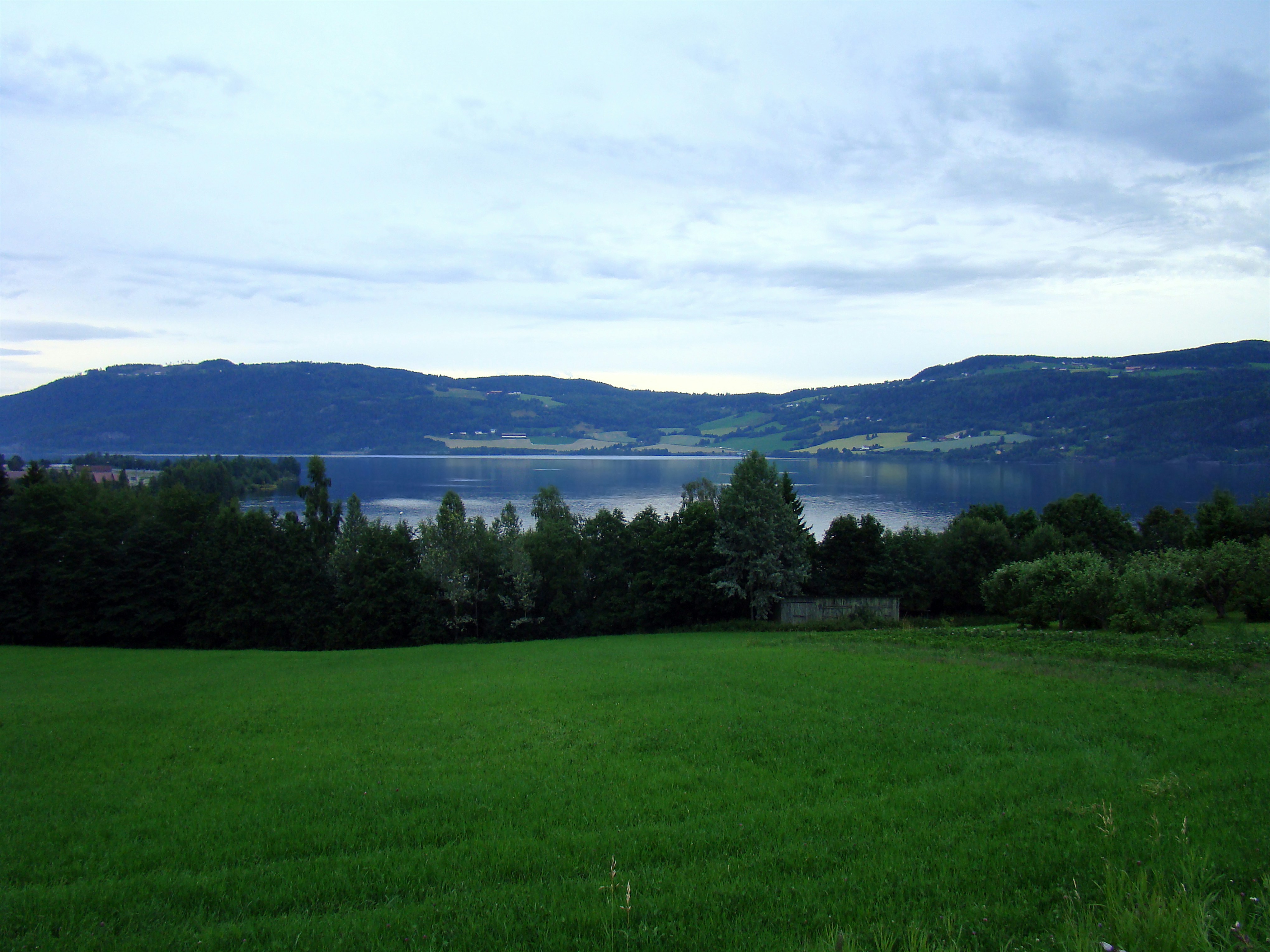 Verdant Lake Mosaic: A Quiet Ridge Over the Water