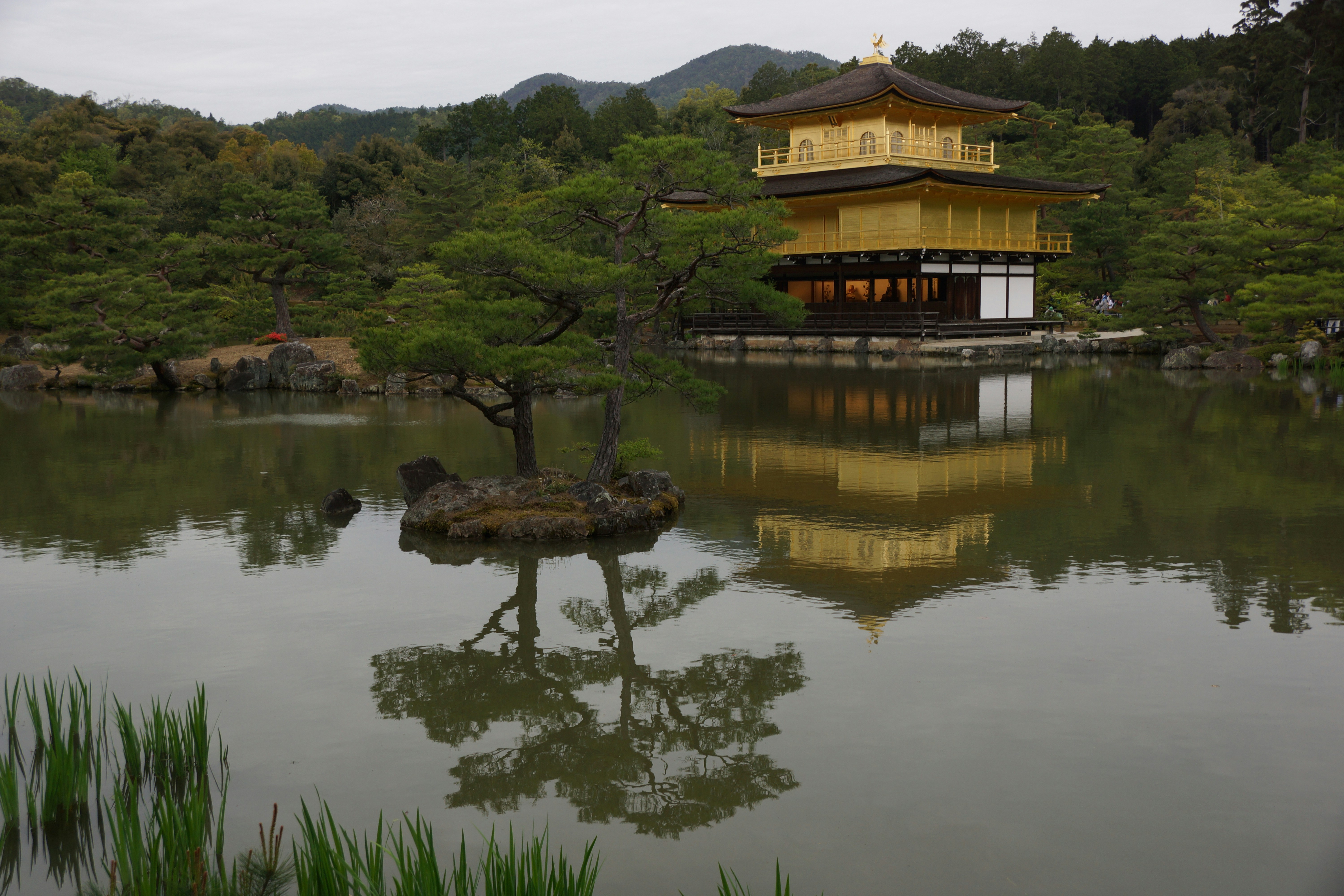 Golden Pavilion Reflected: Tranquil Kyoto Lake composition