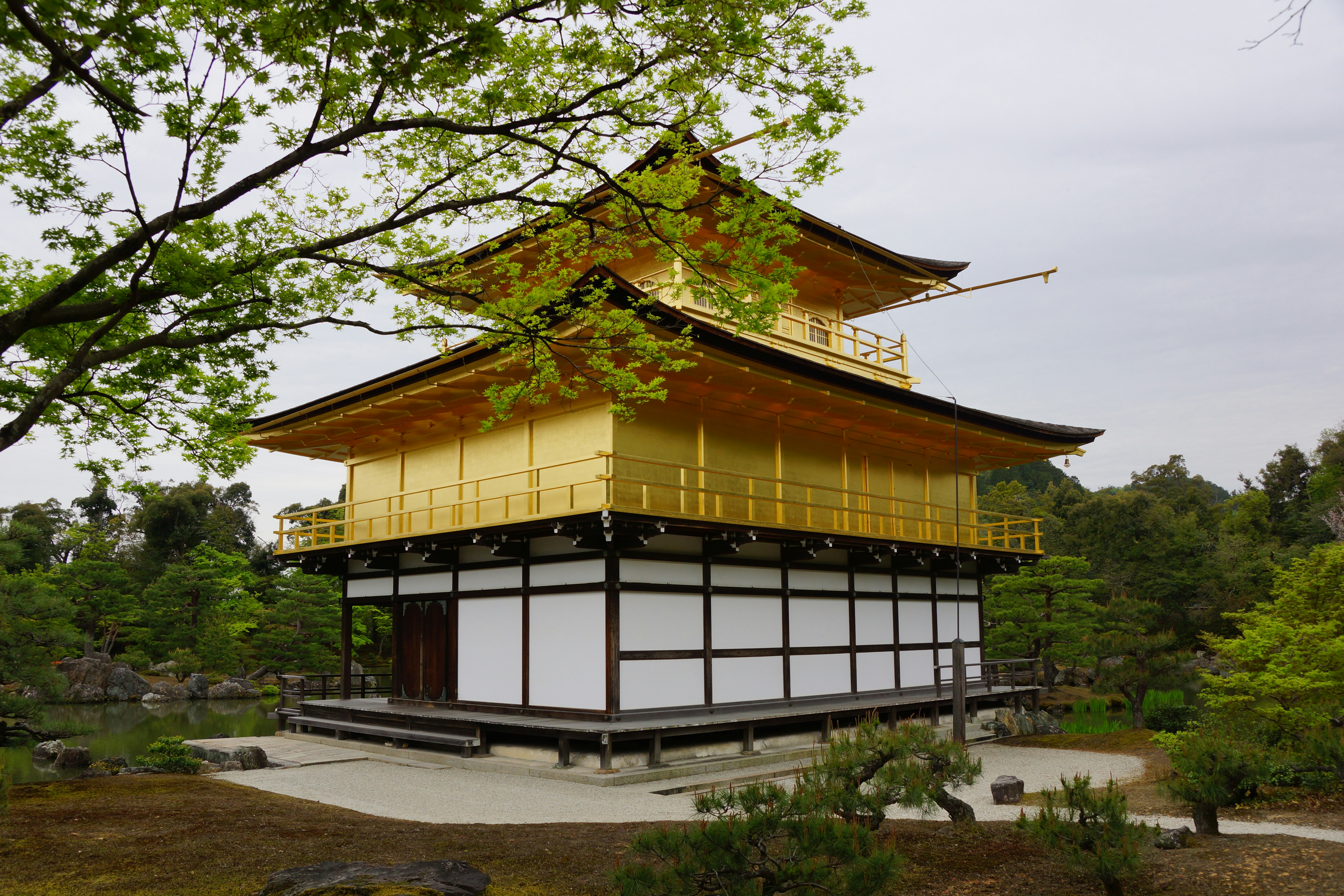 Golden Pavilion Amid Garden Quiet