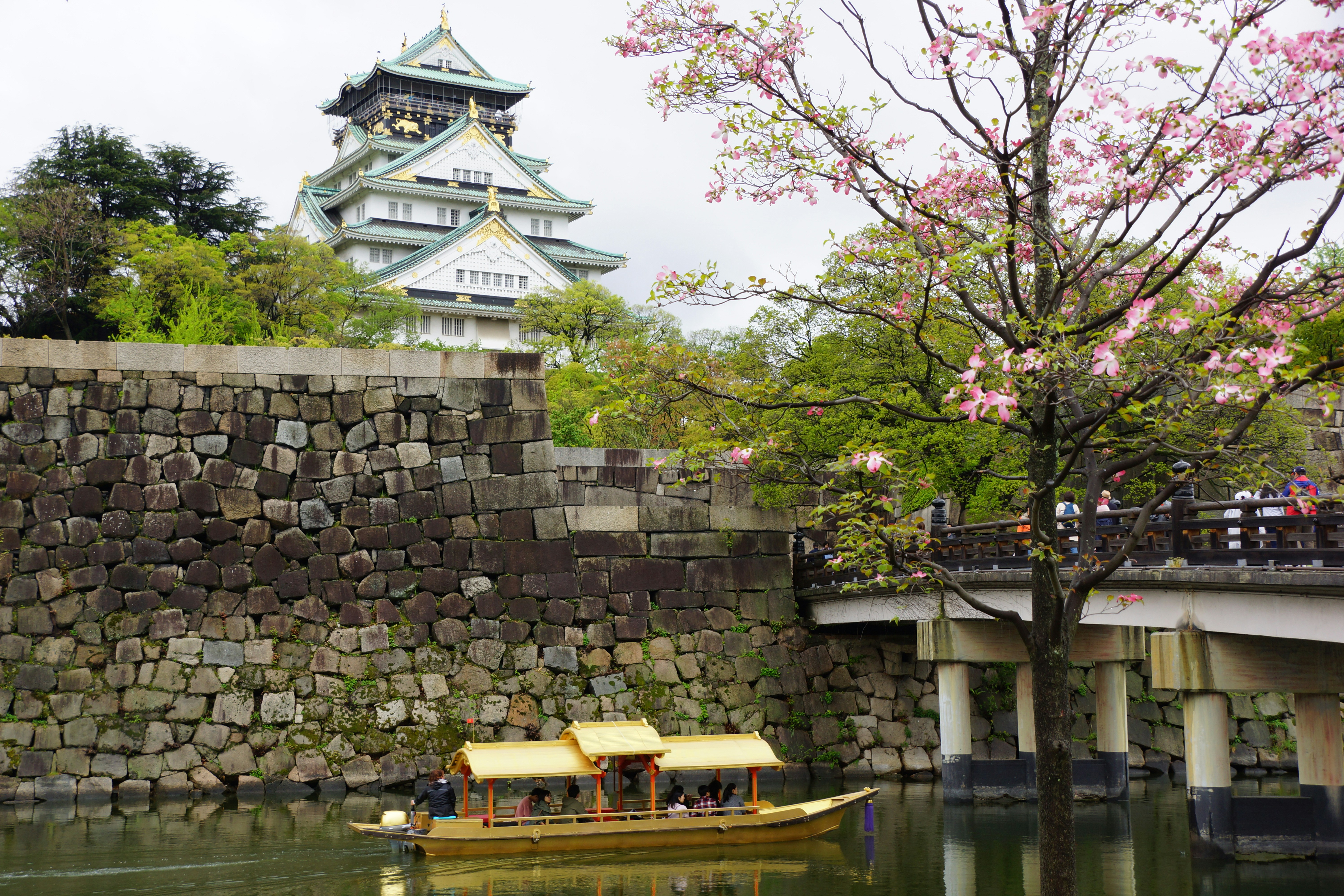 Koi-Wise Refuge: A Dragon-Scaled Castle Sits Beyond a Cherry Bloom