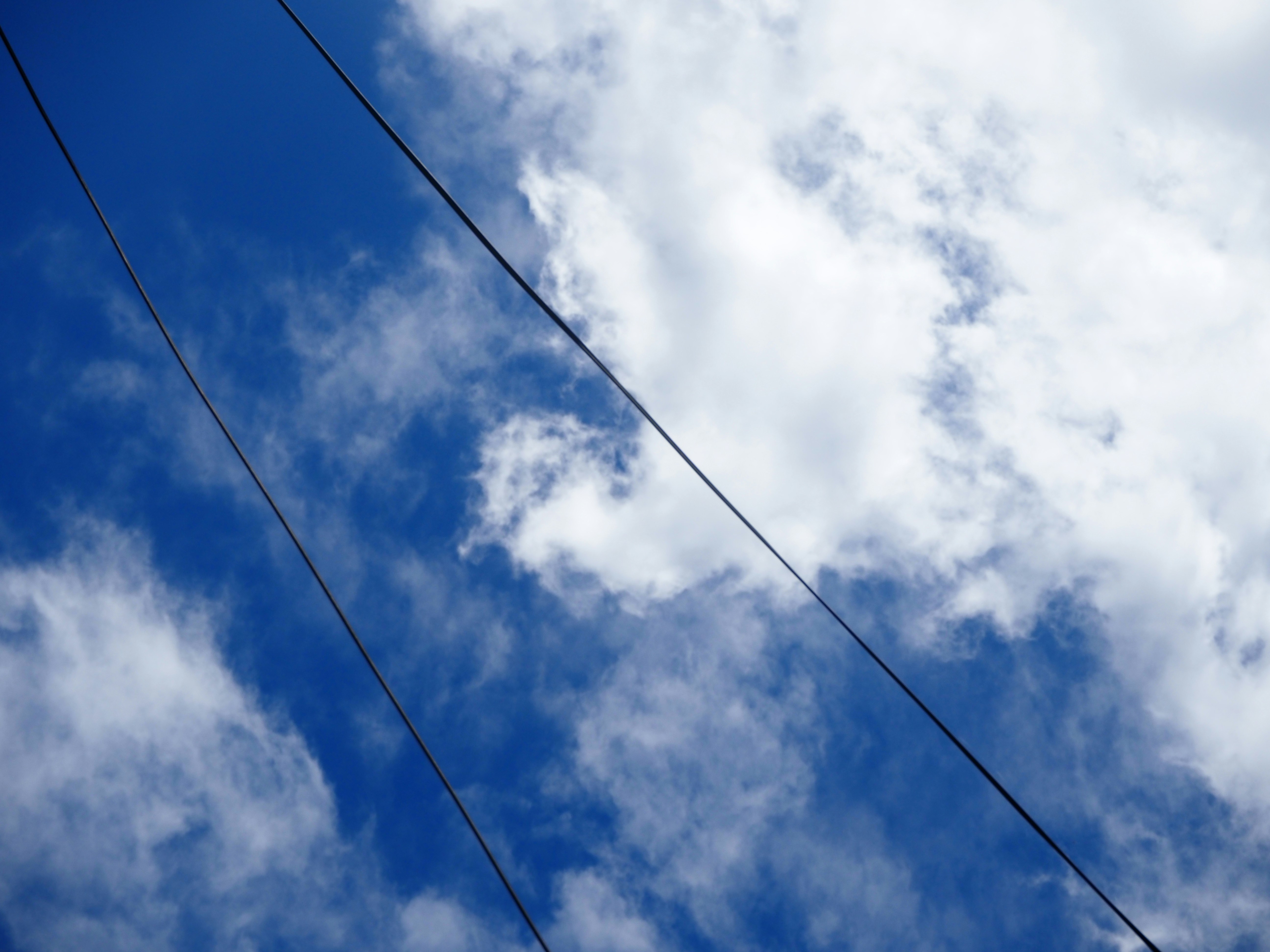 Skybound Threads: A Quiet Tangle of Lines Against the Blue
