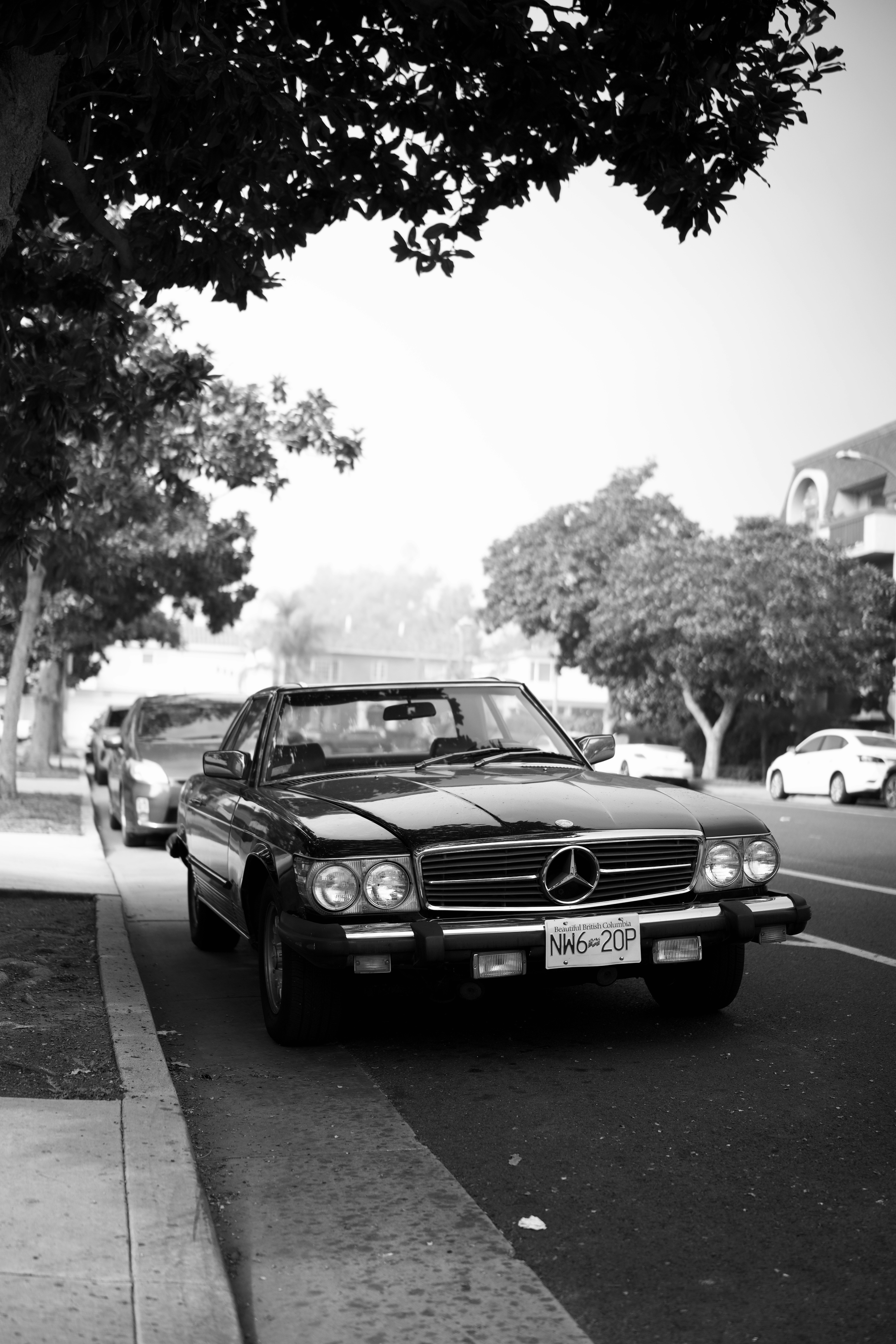 Chrome on Concrete: A Classic Mercedes Stares Down the Street