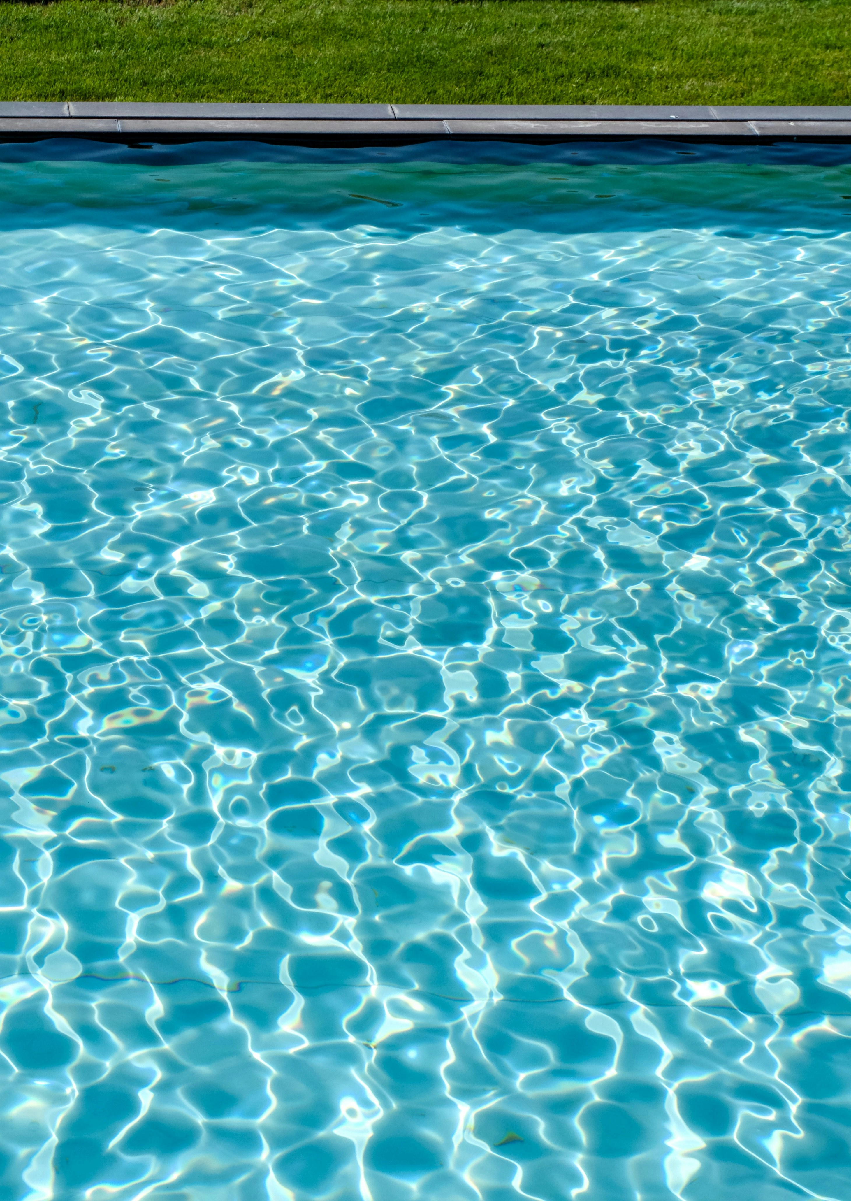 Edge of Blue: Poolside Ripples and Lawn Trim