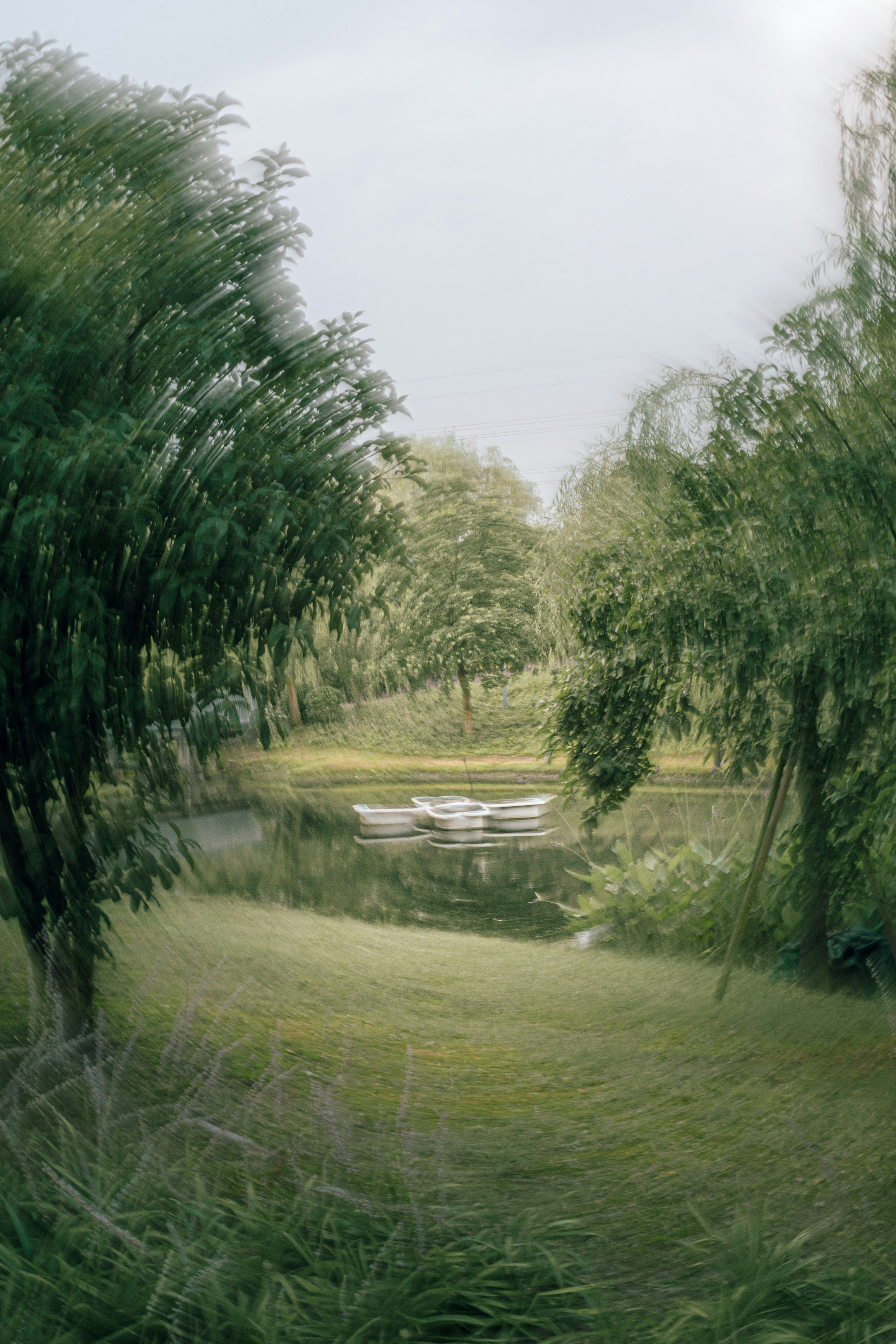 Echoes of a Quiet Pond: A Gentle Tilt in the Landscape