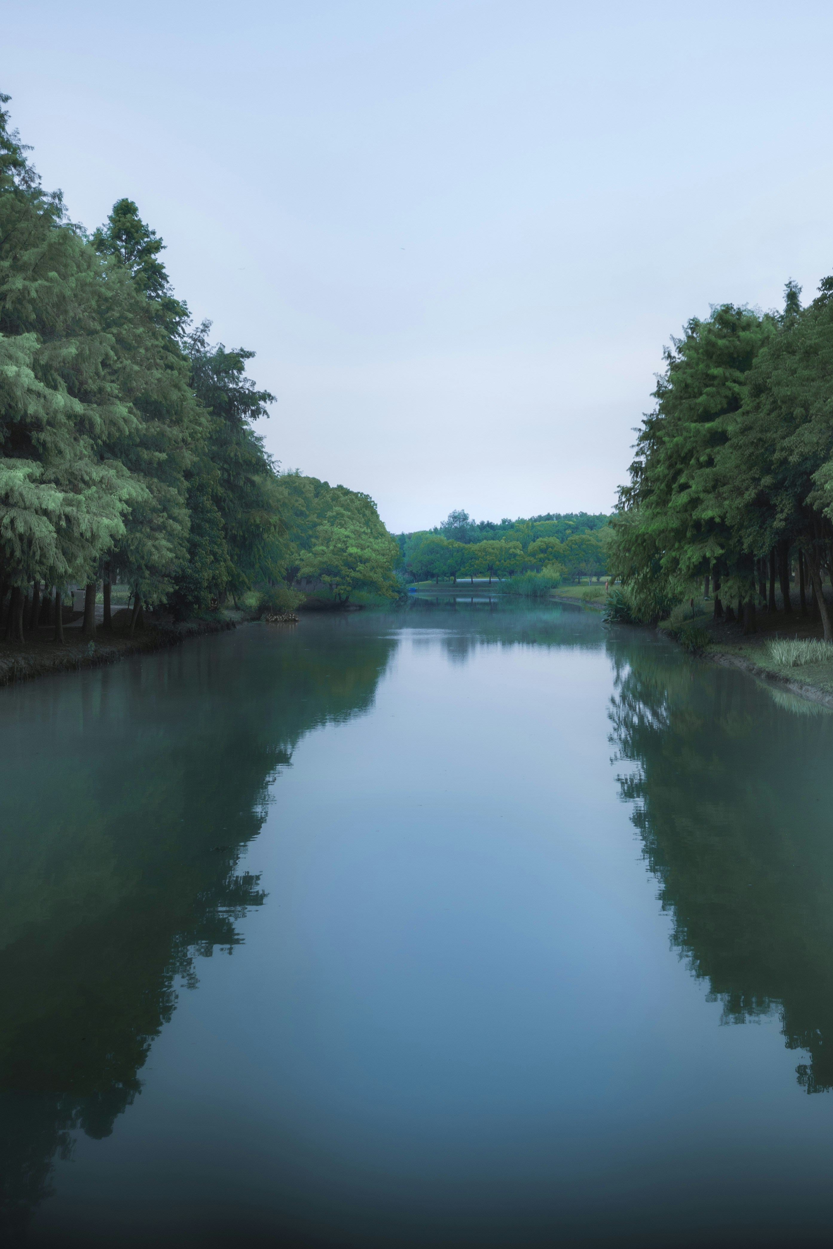 Symmetric canal of trees converging to a distant bridge