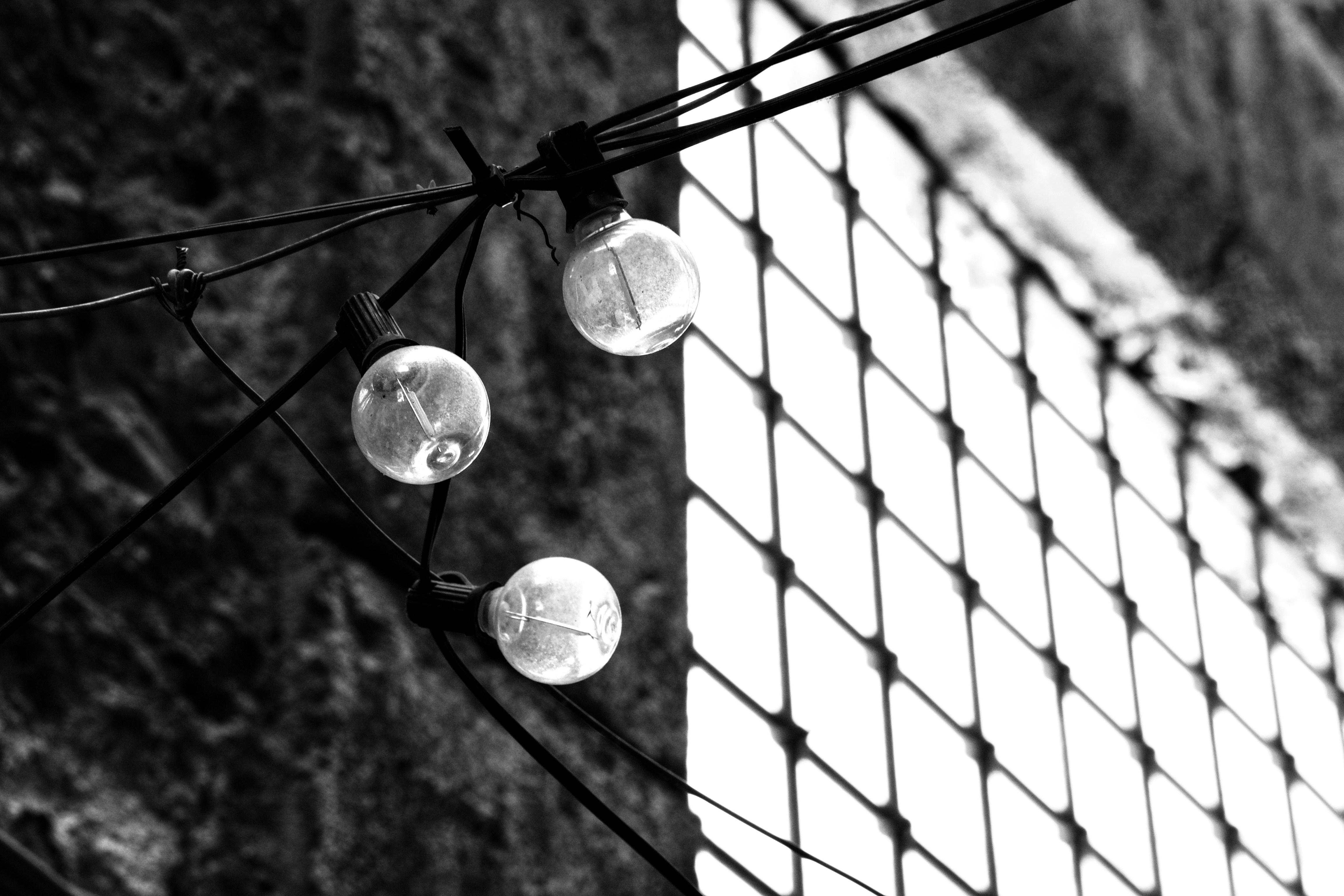 Glowing Festoon: Bulbs Against a Wire Mesh in Monochrome