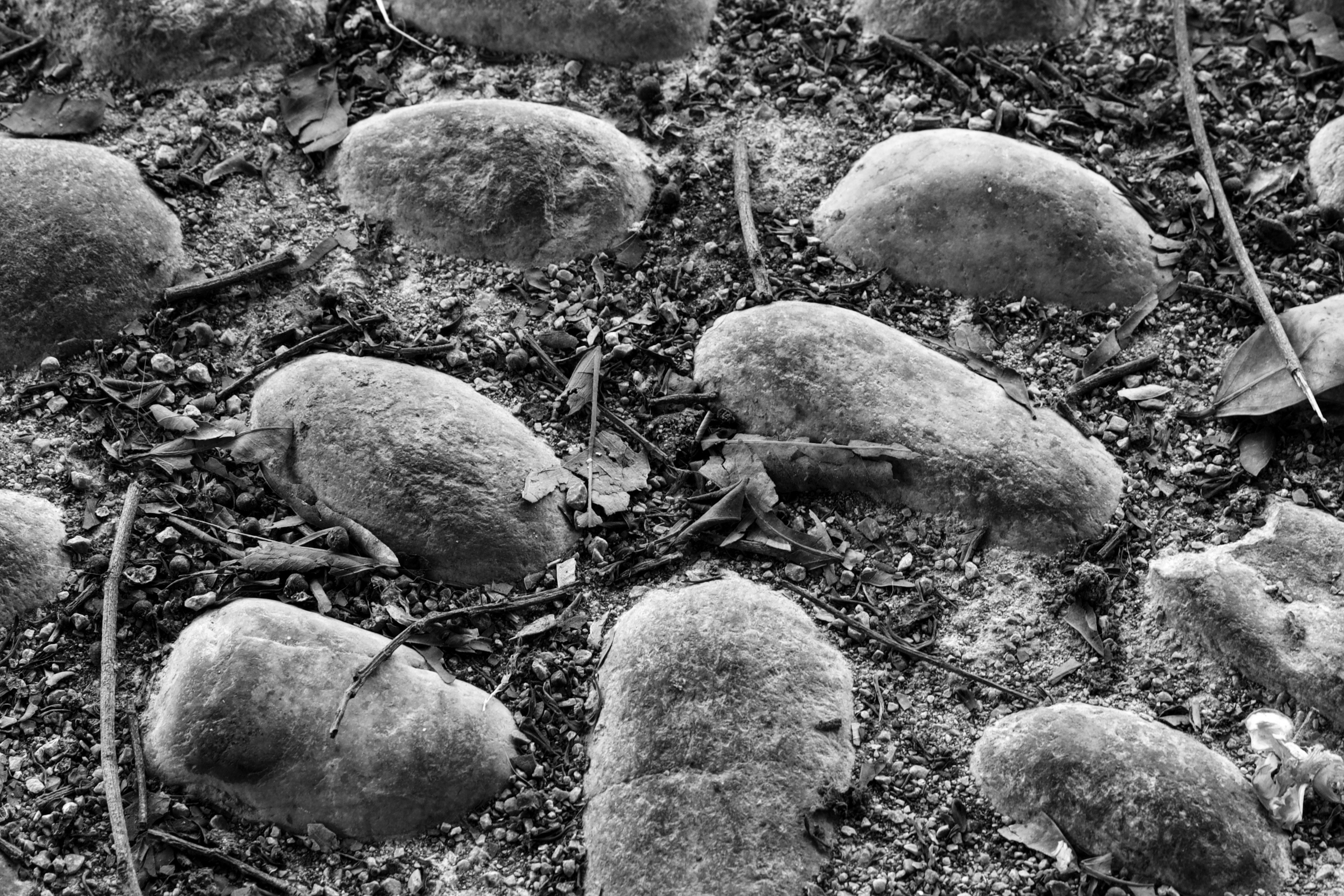 Pebble mosaic: close-up of sun-warmed stones on damp soil