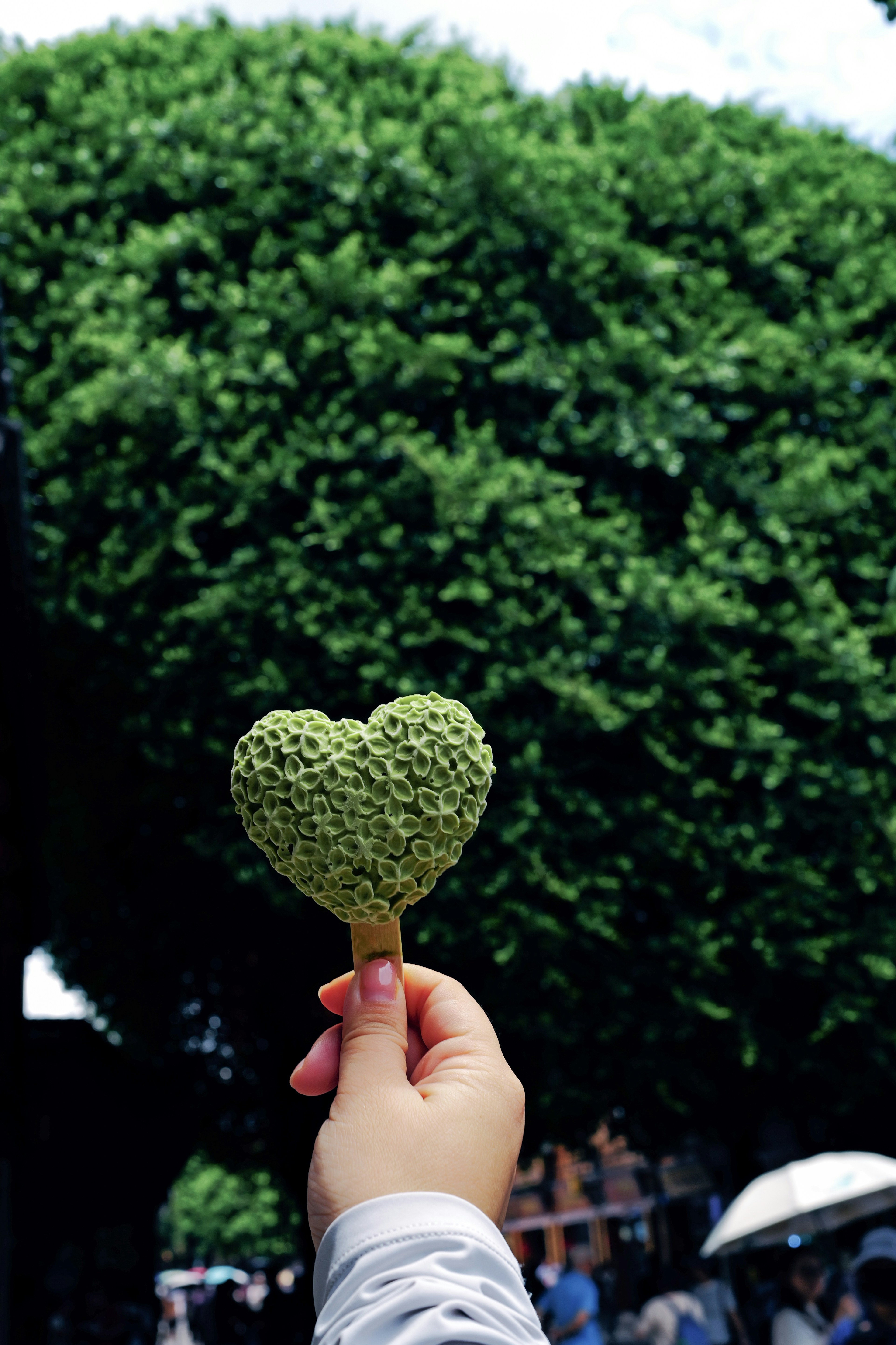 Heart of the Green: Handcrafted Sculpture Shaped Bud