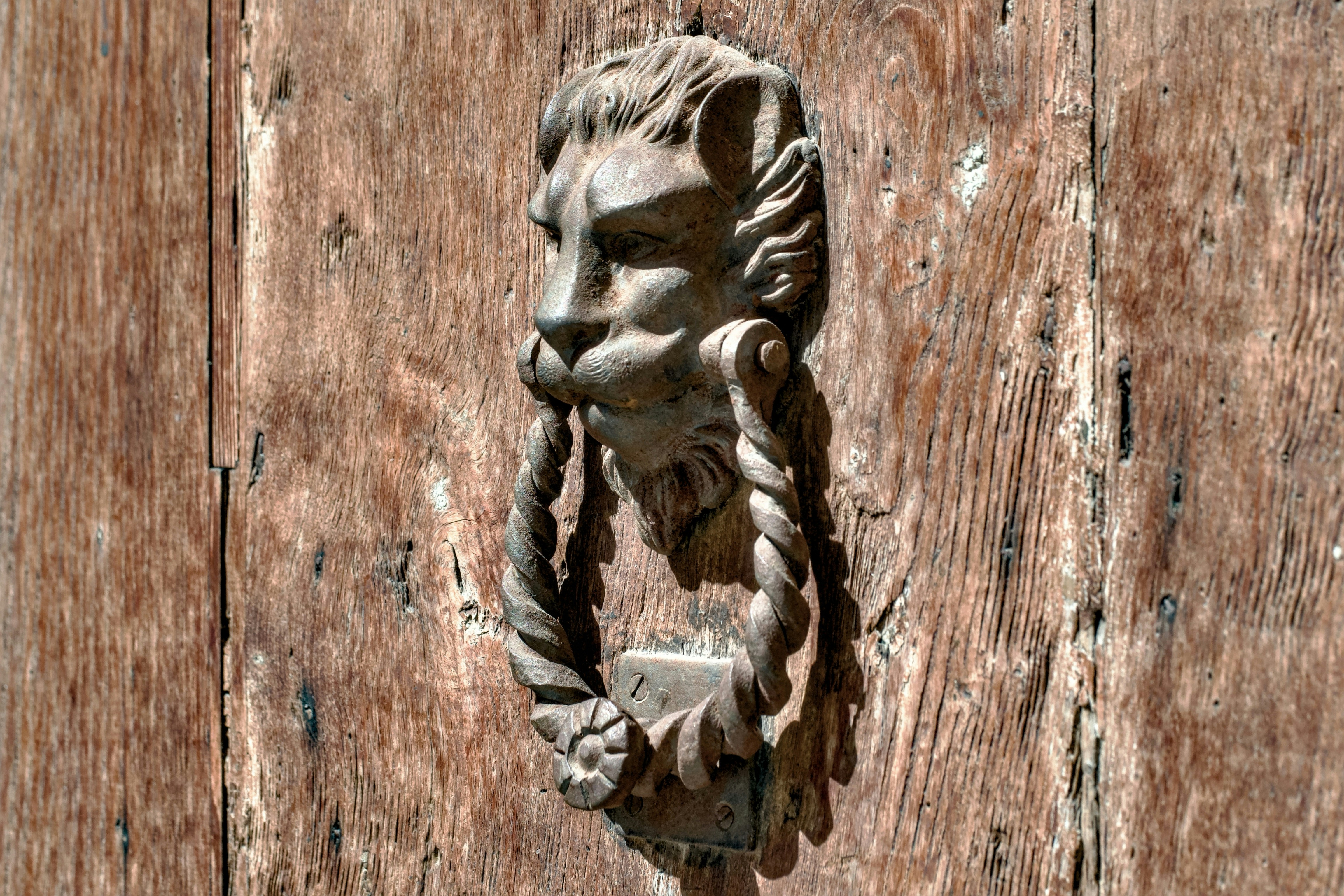 Lion Head Door Knocker on Weathered Planks