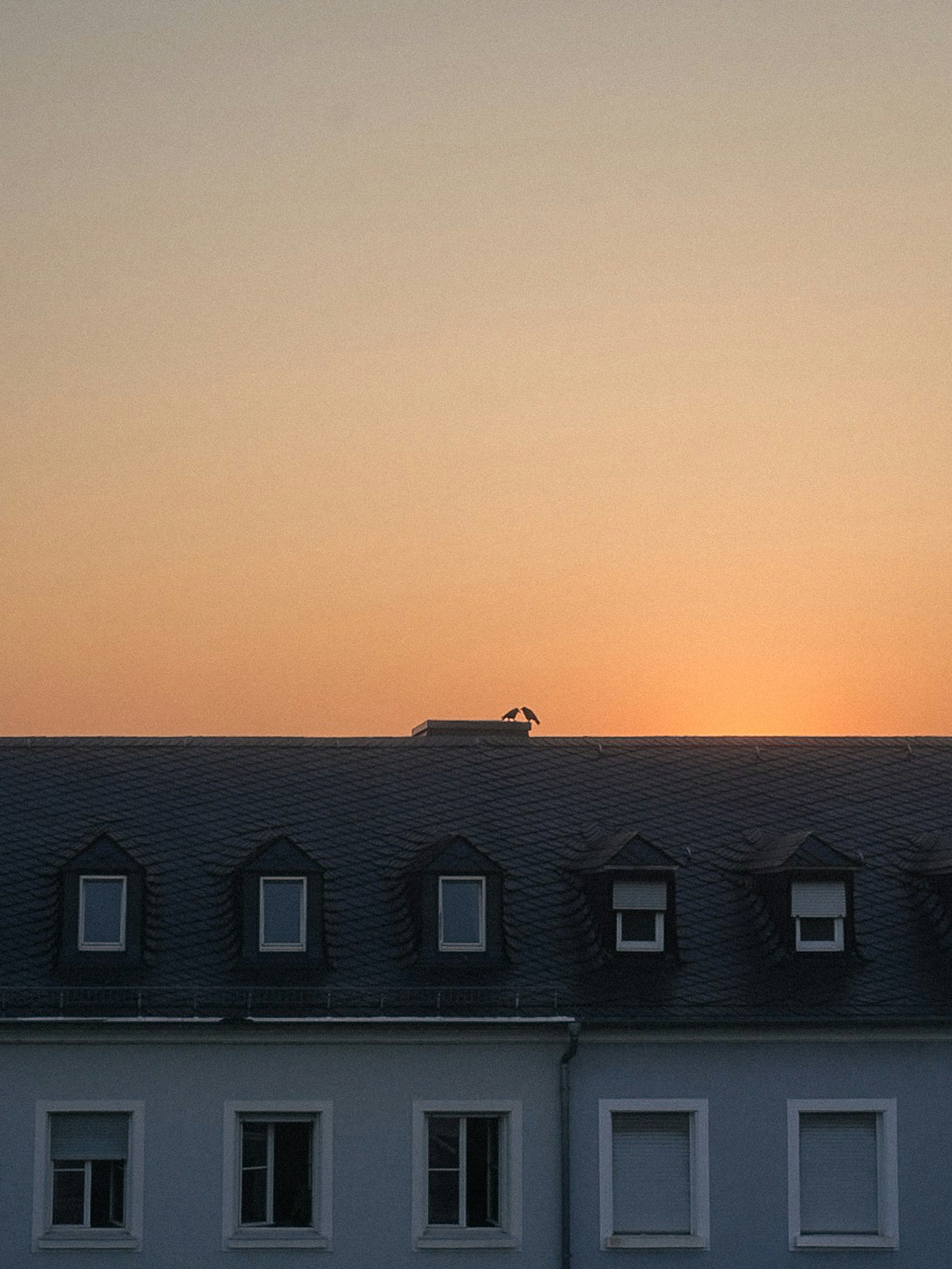 Sunset glow over a row of attic windows with a small rooftop silhouette—likely a bird or figure—against a soft orange sky. A minimal architectural scene focusing on rooftop line and warm backlight.