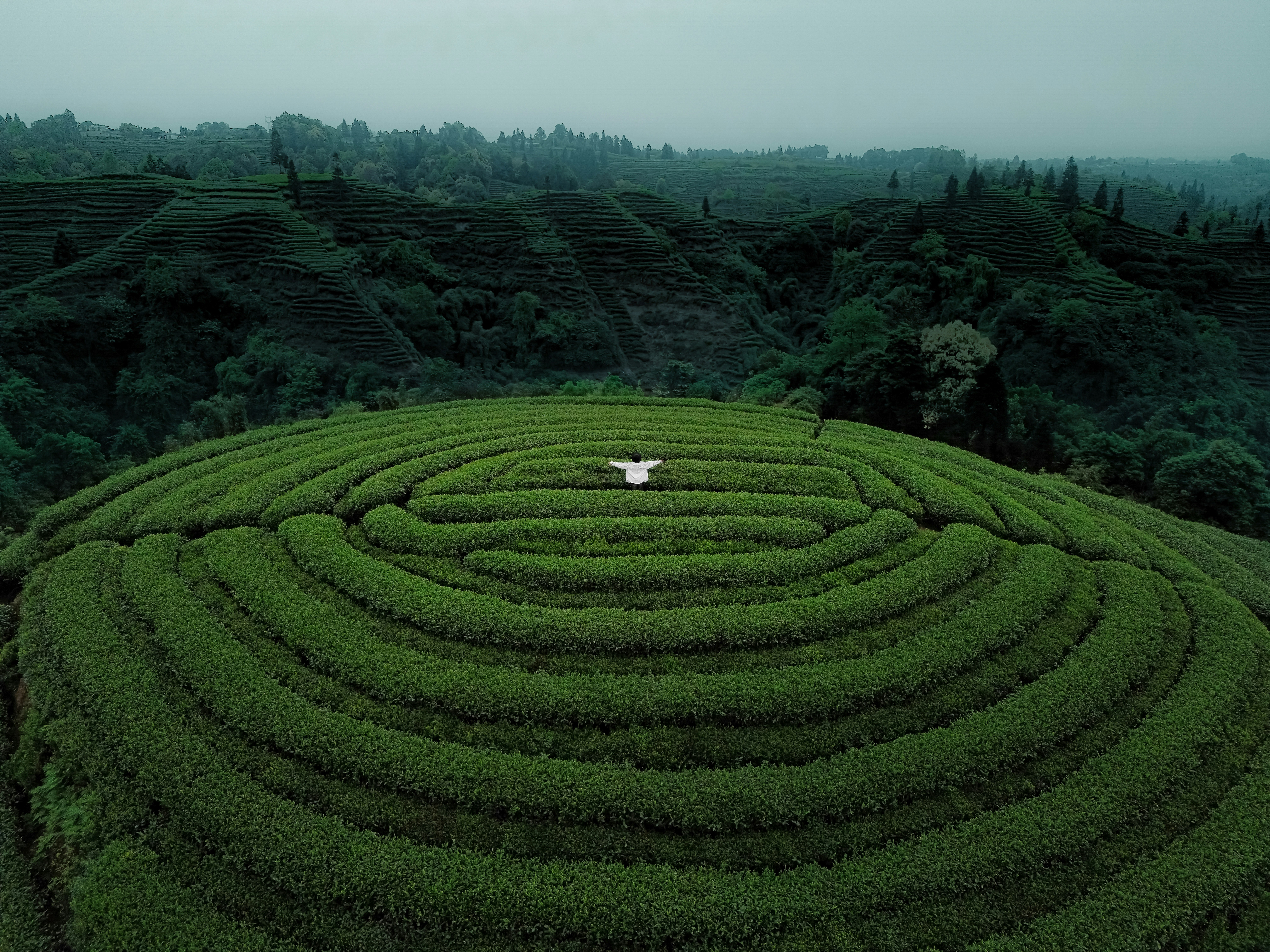 Concentric Green Carved Terraces: A Drone’s Quiet Overlook