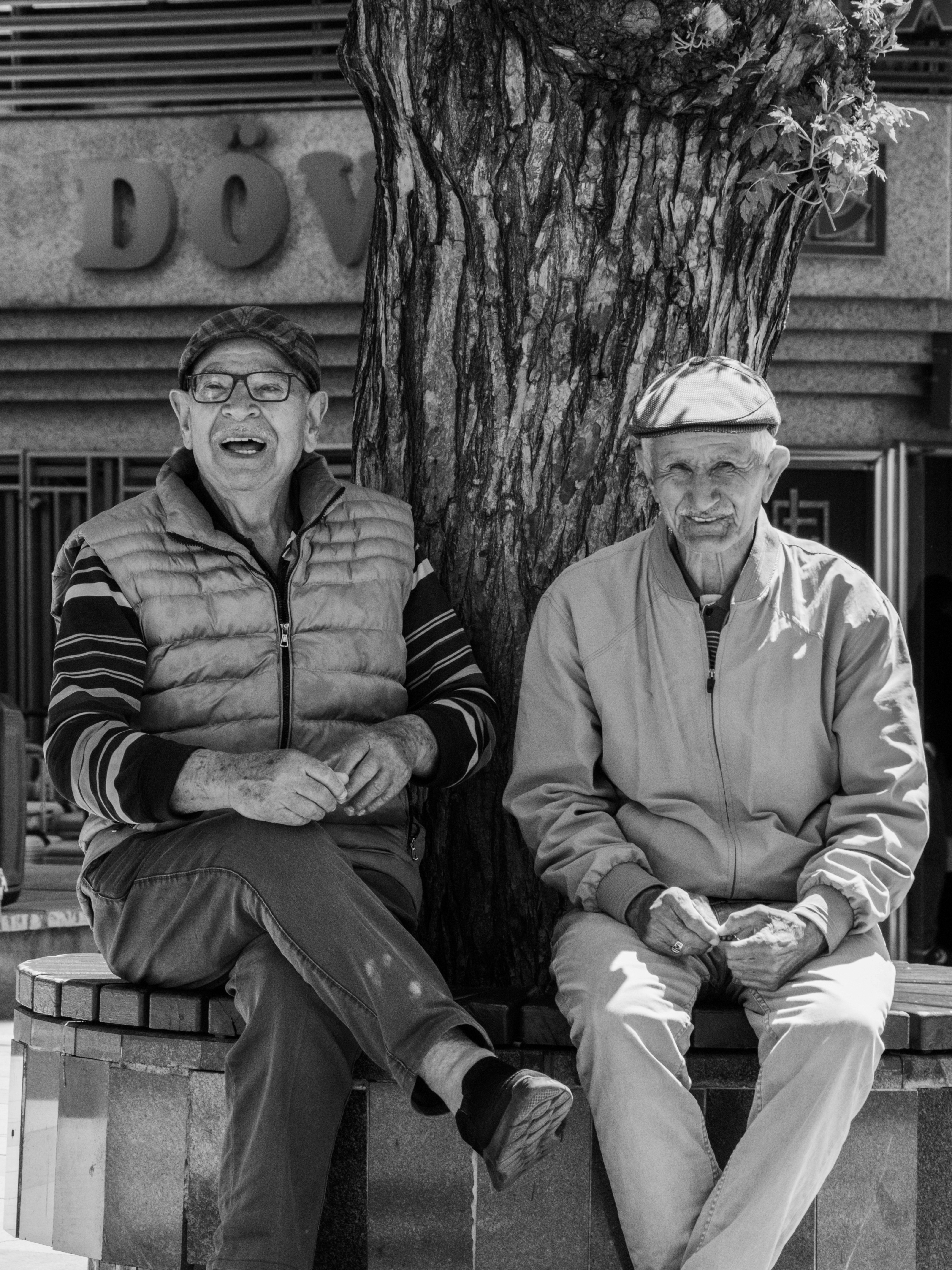 Laughter under the Old Chestnut: Two Generations Share a Bench