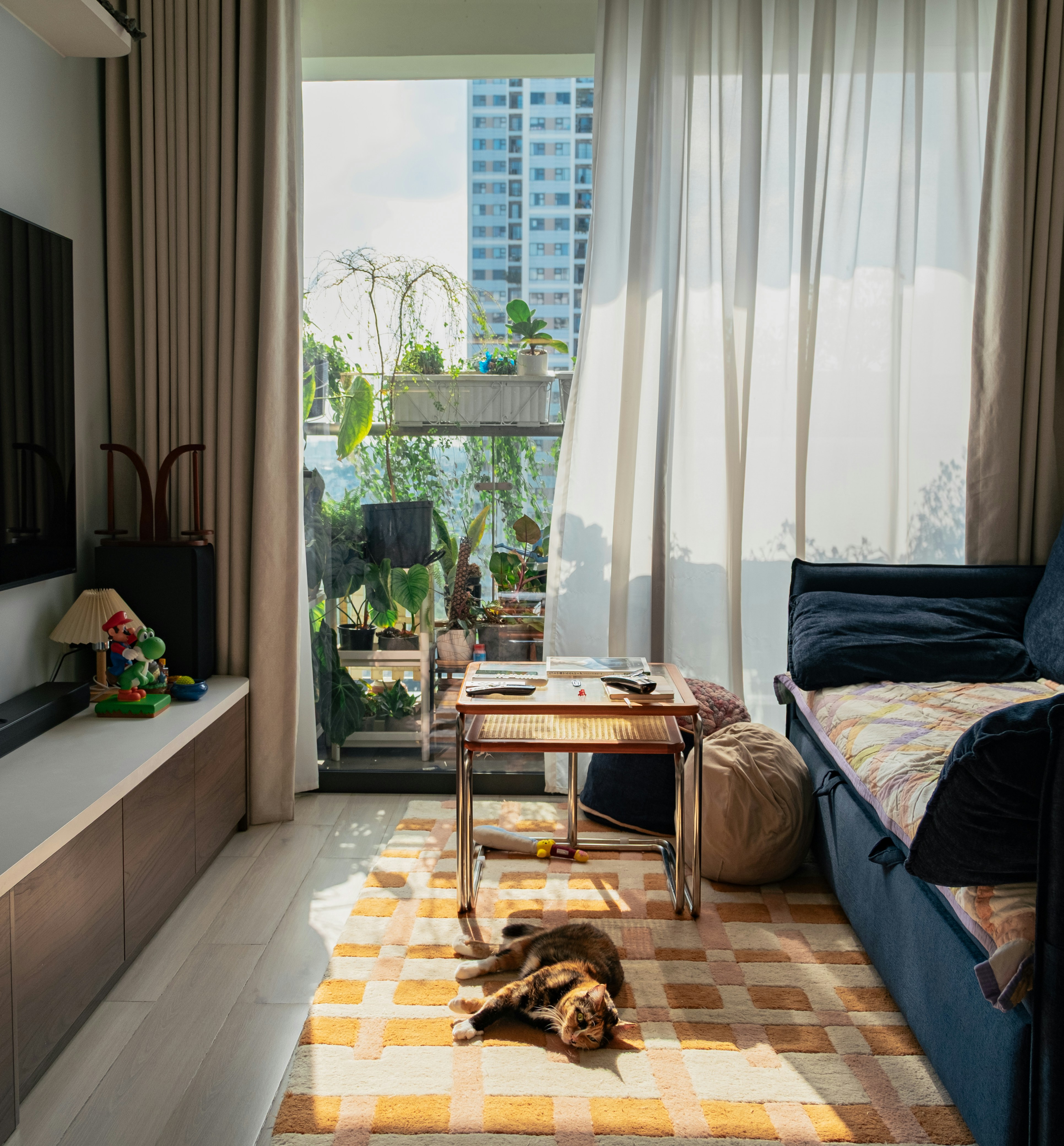 Sunlit Living Room: A Calm Morning with a Dozing Cat on the Rug