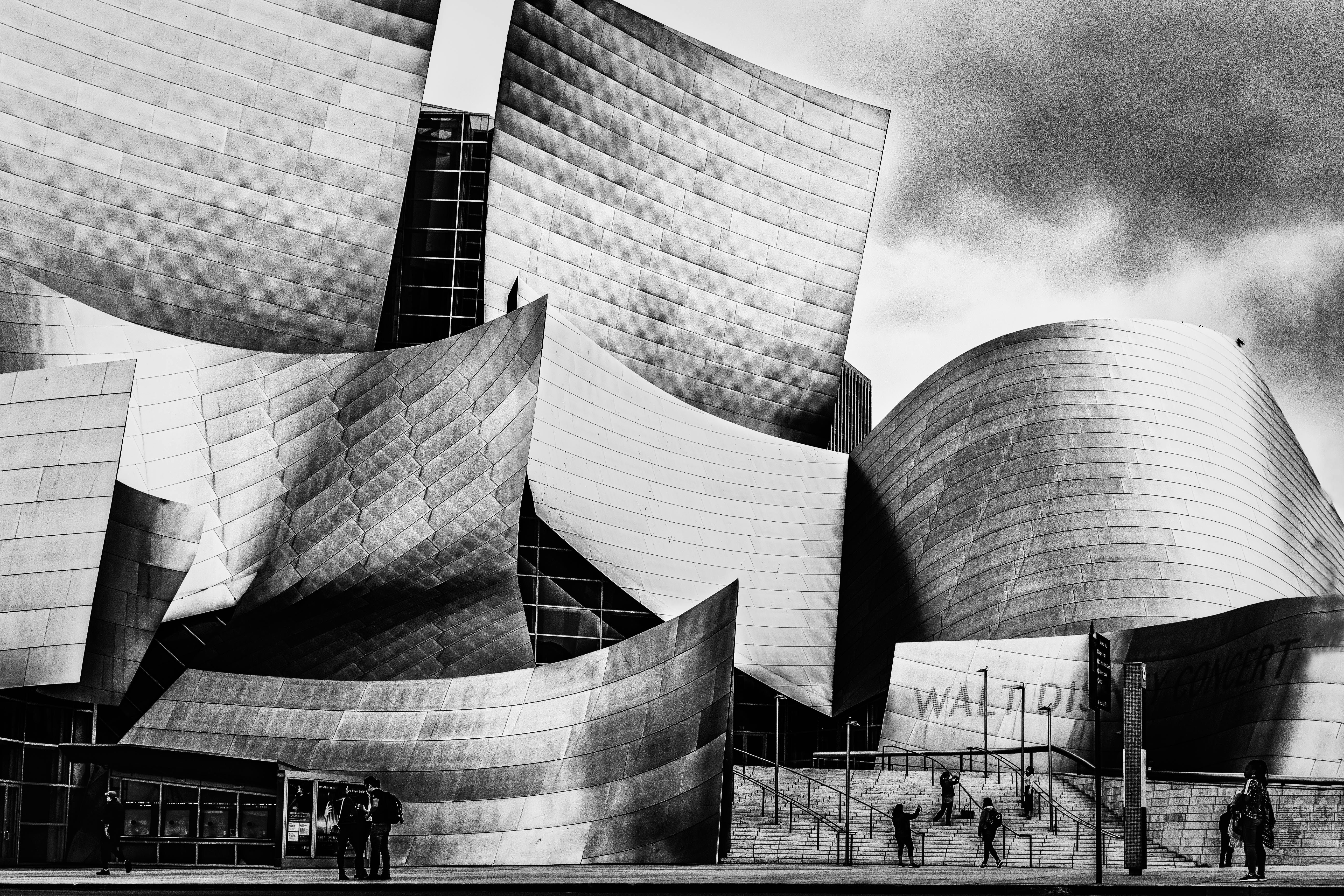 Architectural Rain: Velvet Curves on Titanium Facades