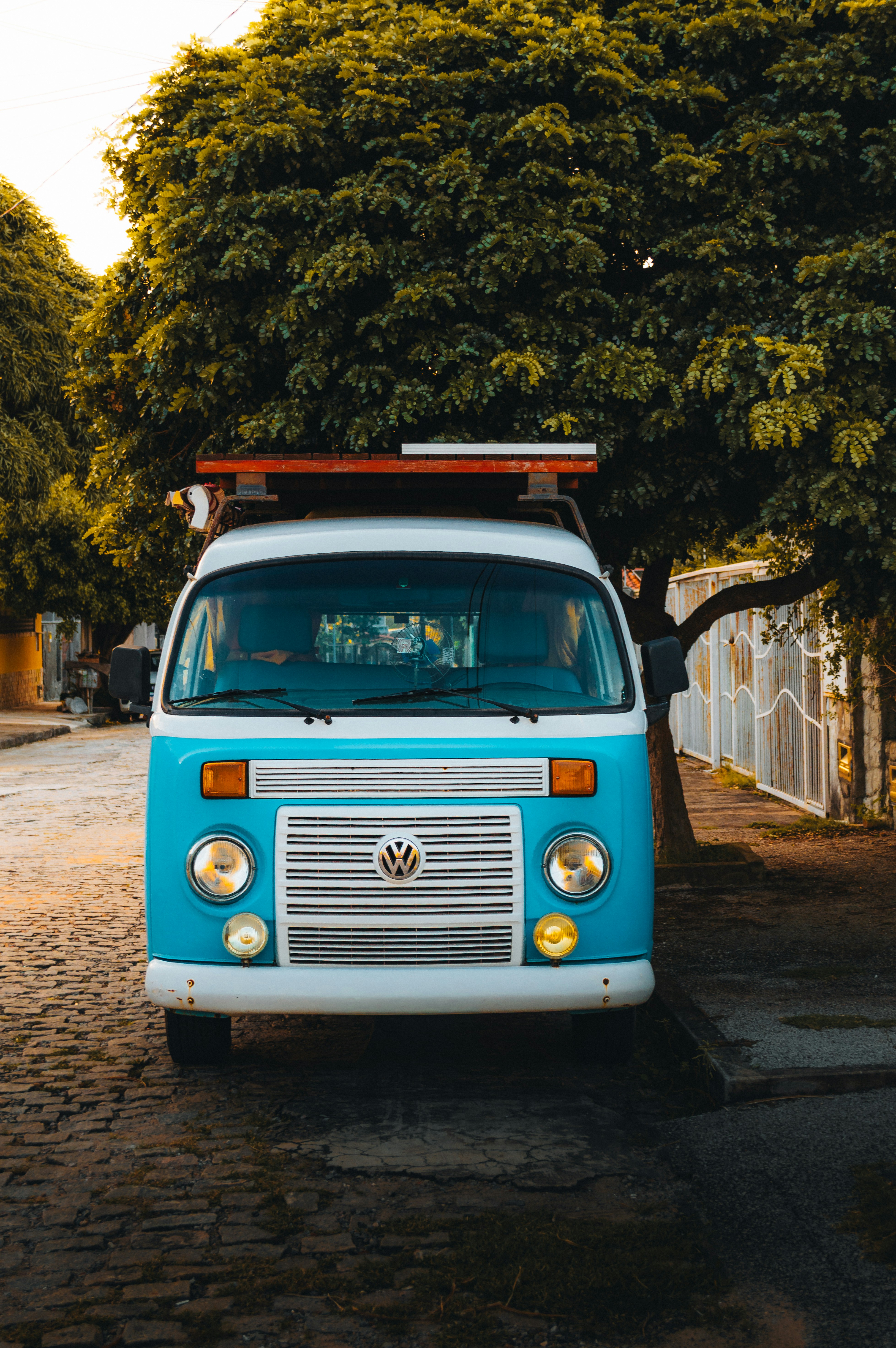Blue VW van under a leafy canopy on a sunlit street