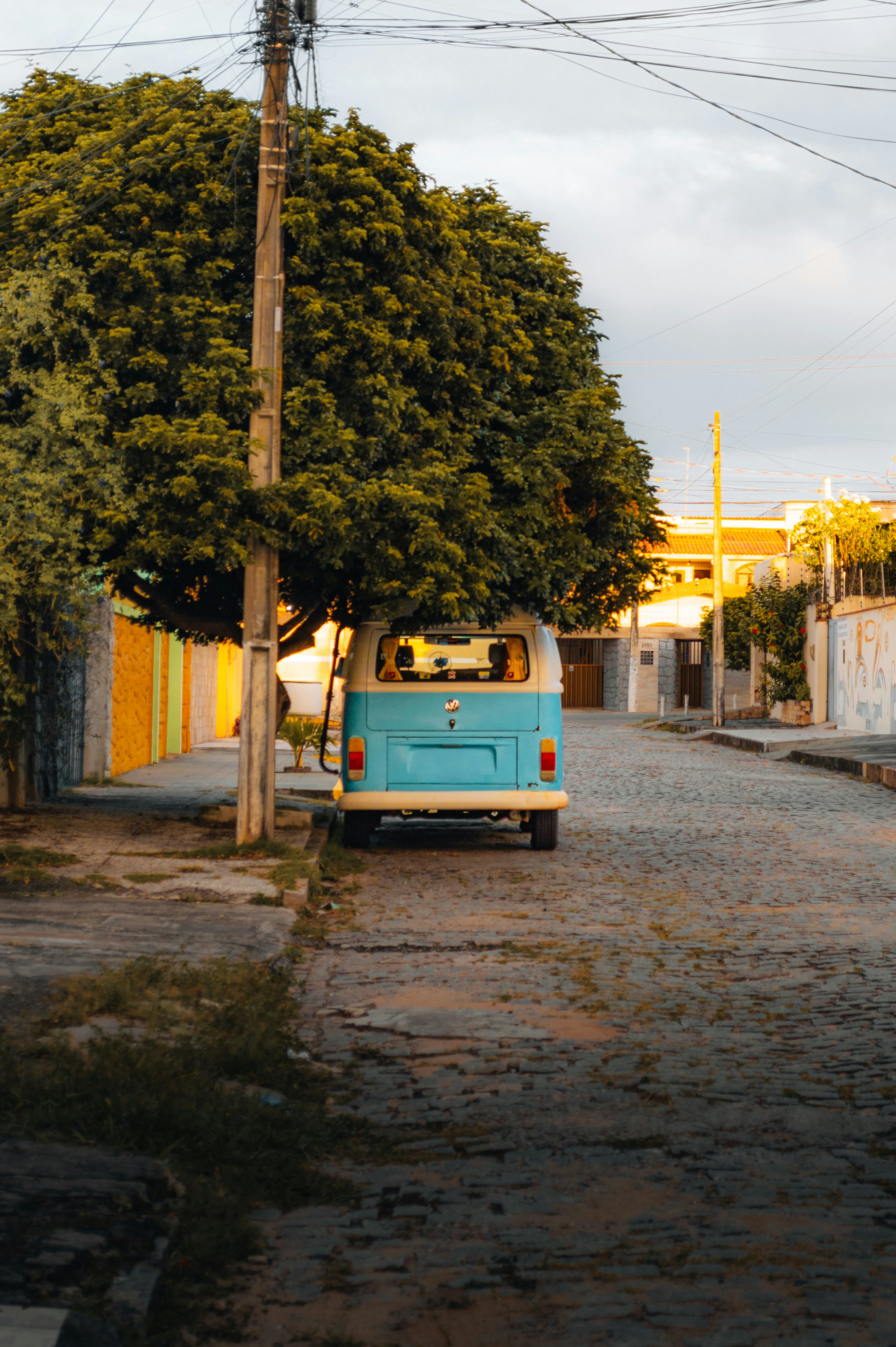 Blue van beneath a sunlit street of cobbles and trees