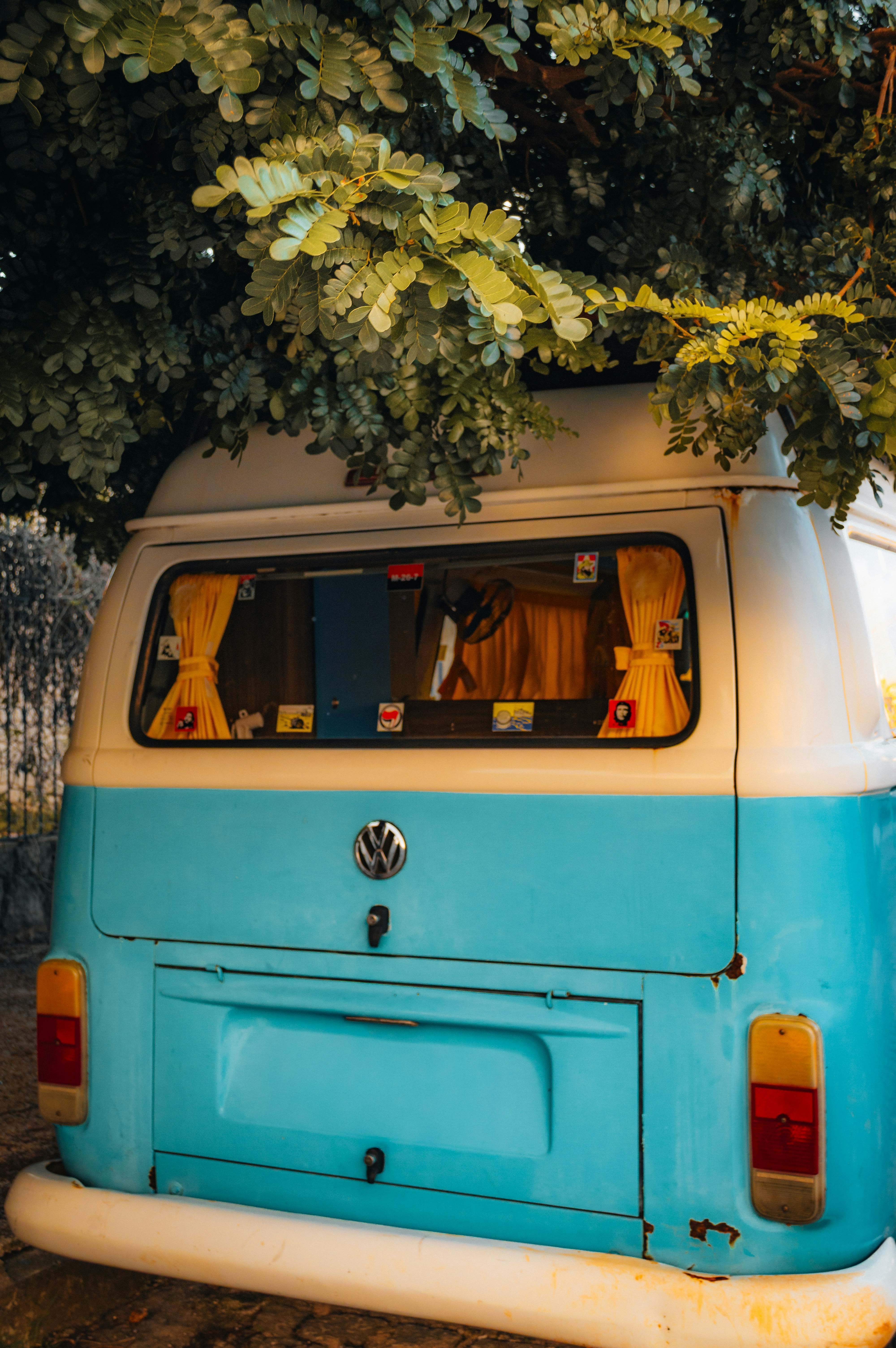 Retro VW Camper Under a Canopy of Green and Sunlit Leaves