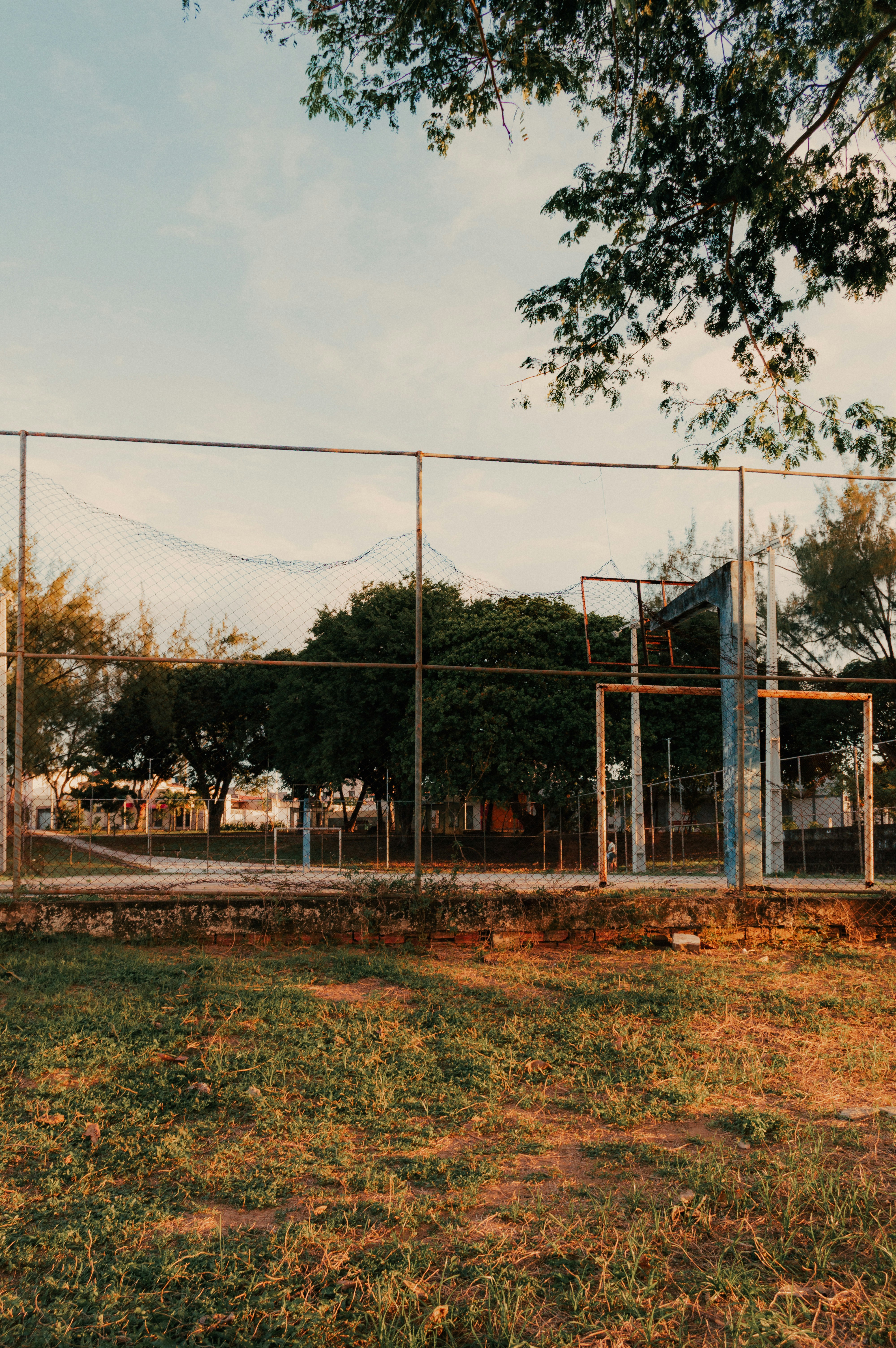 Quiet Evening at the Fenced Playground