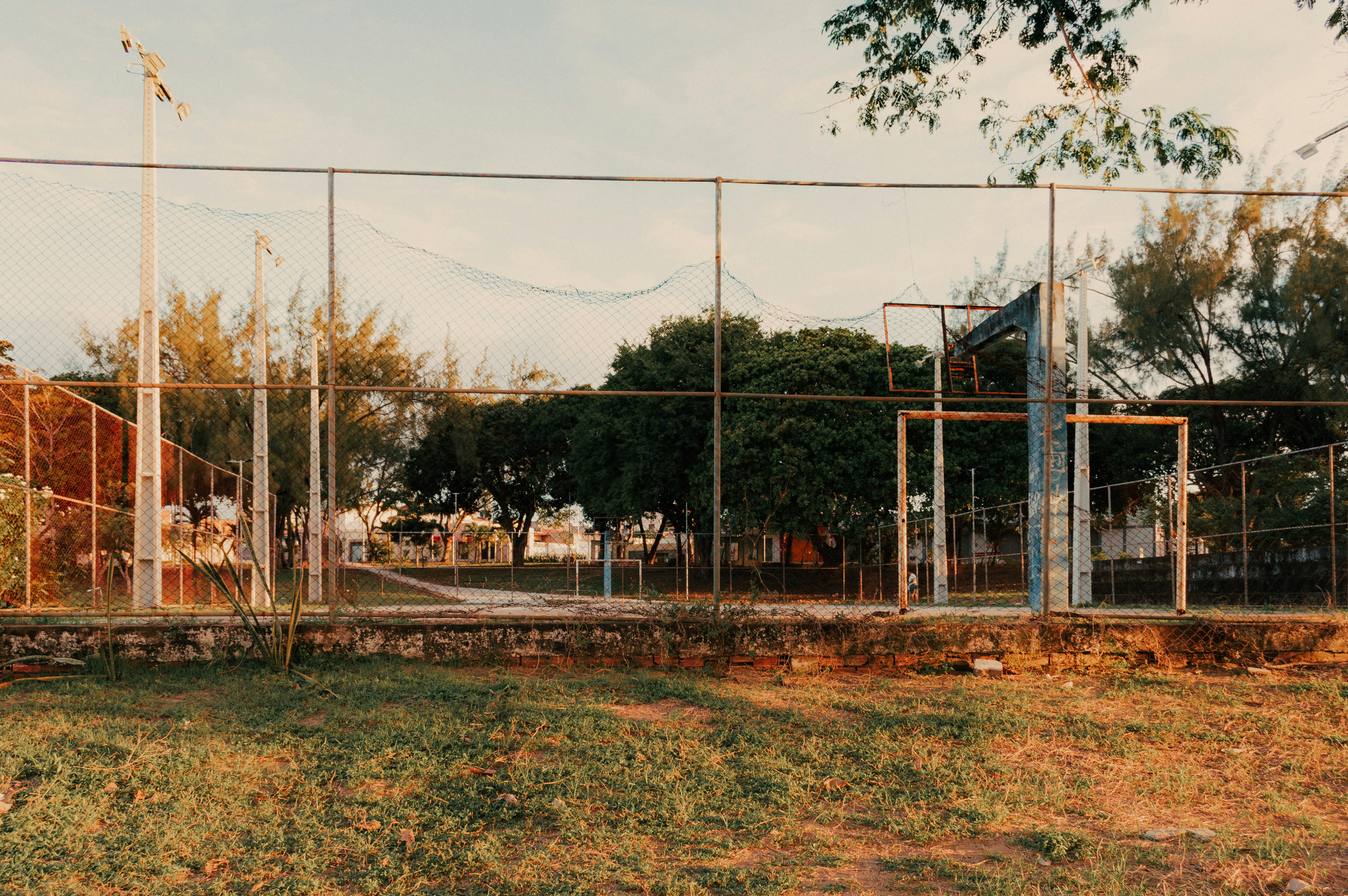 Fence of Quiet Courts at Golden Hour