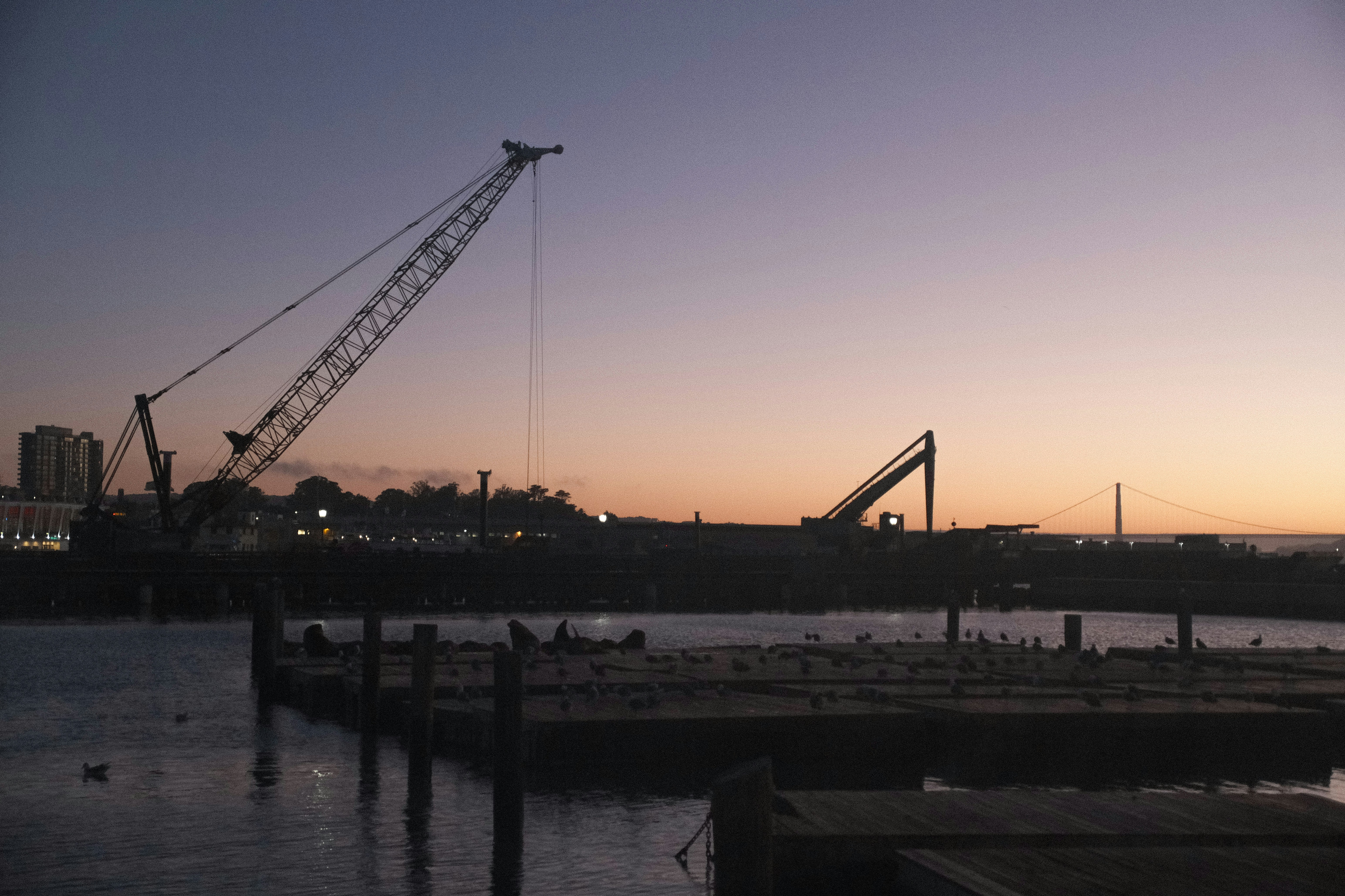 Sunset Over the Crane-Scarred Waterfront