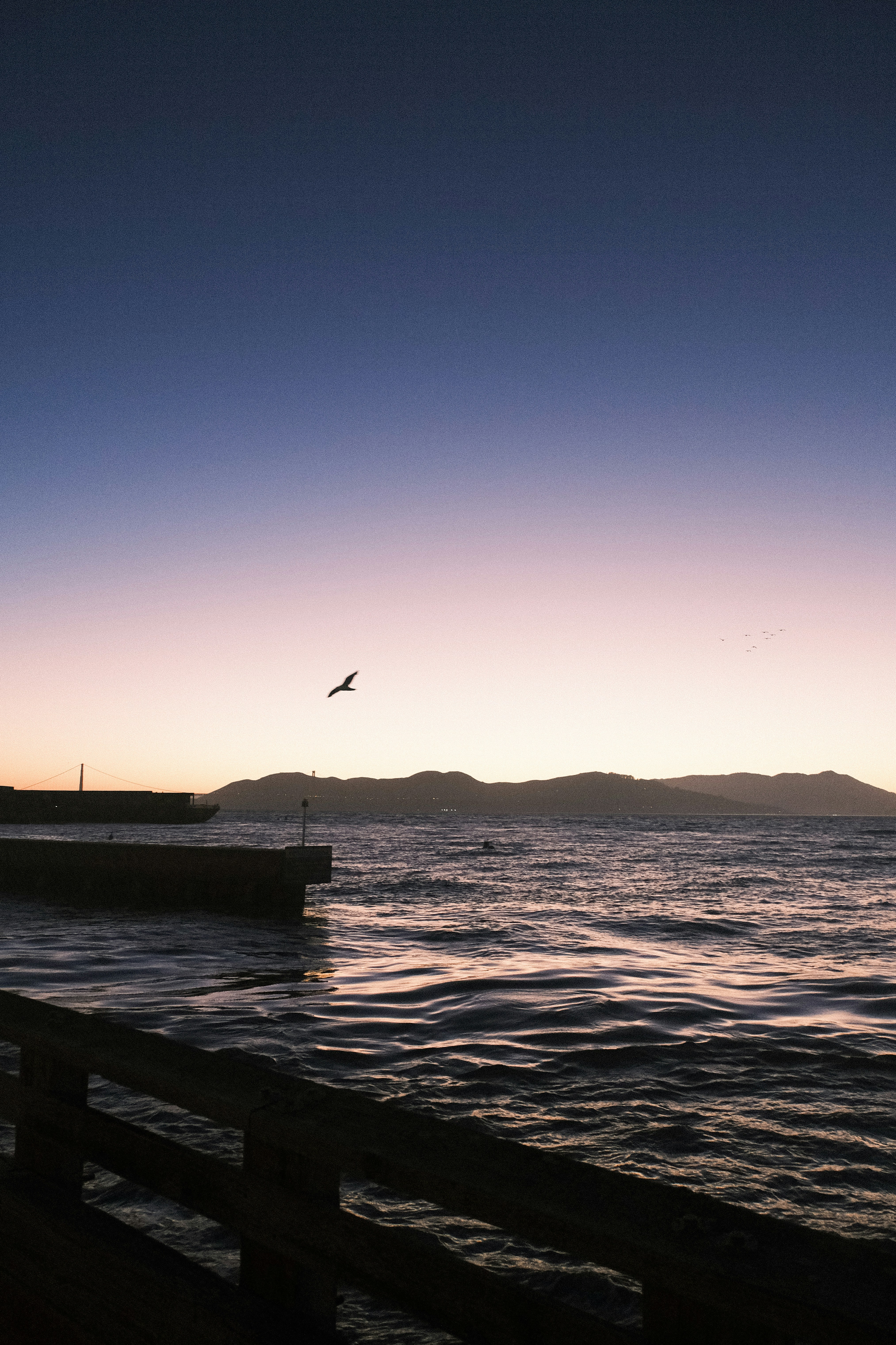 Dusk over the Pier: Quiet Sea with a Passing Seagull