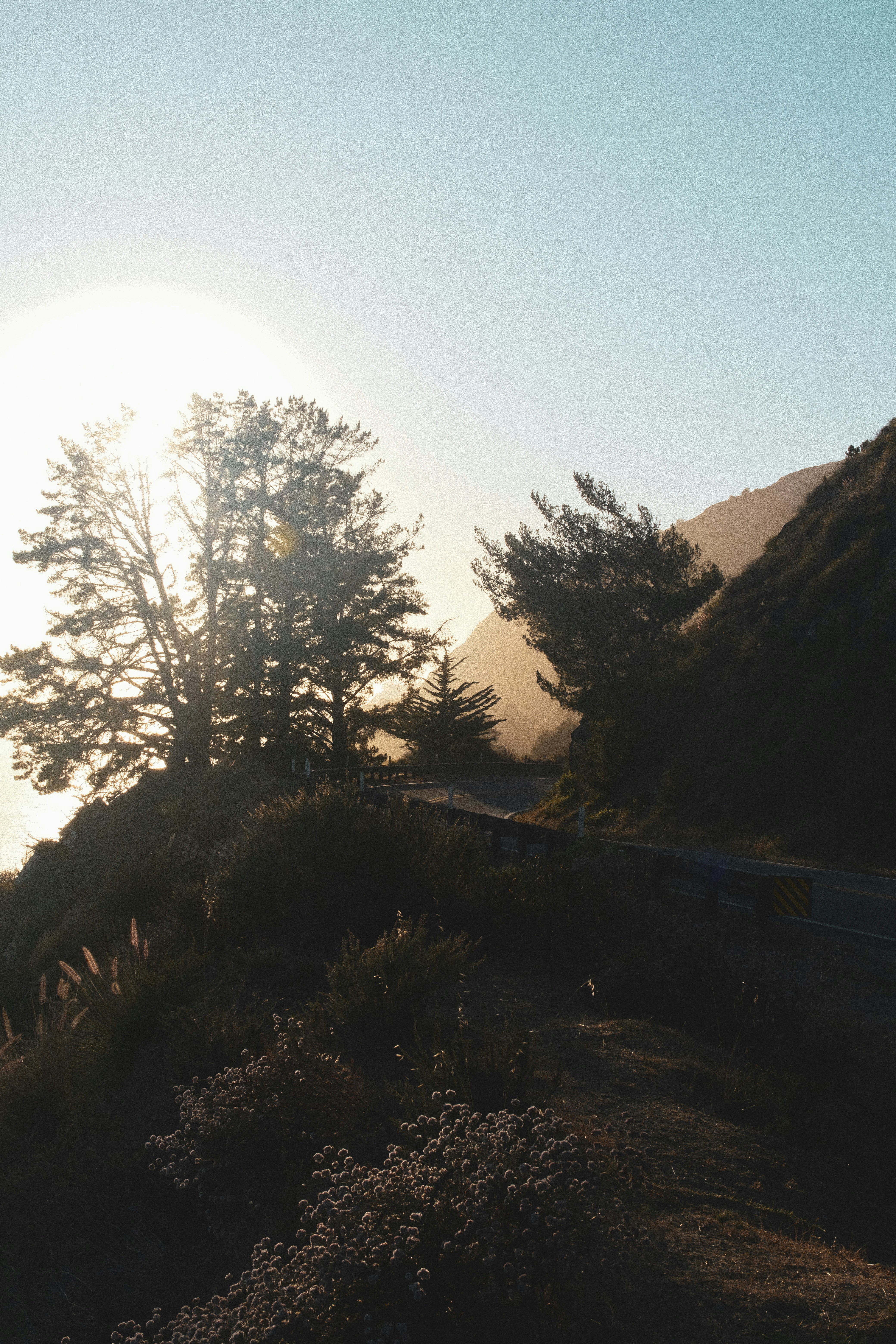 Golden Hour Overlook: Trees, Road, and Distant Mist