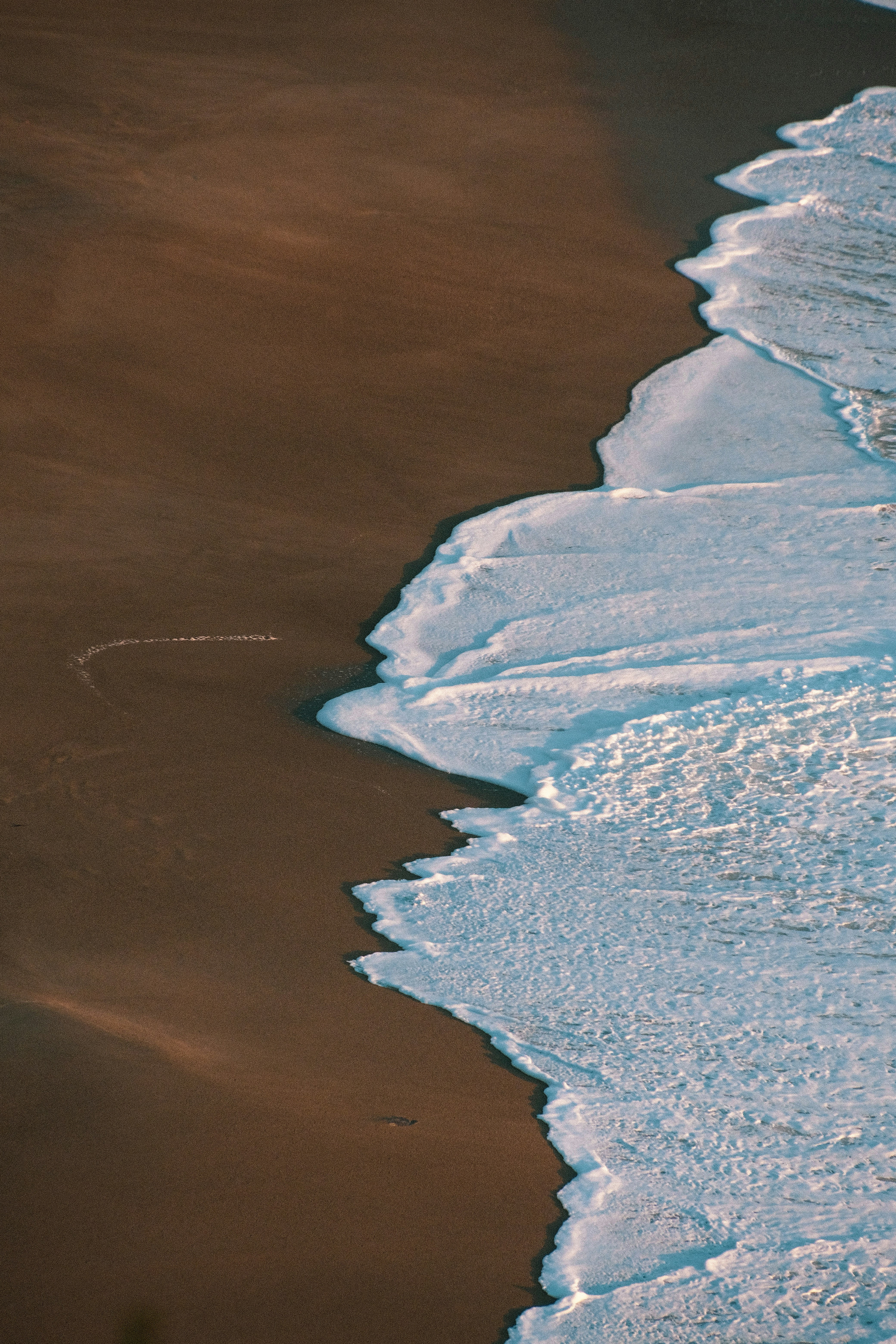 Coastal Edge: Foam, Sand, and the Tides in Quiet Confluence