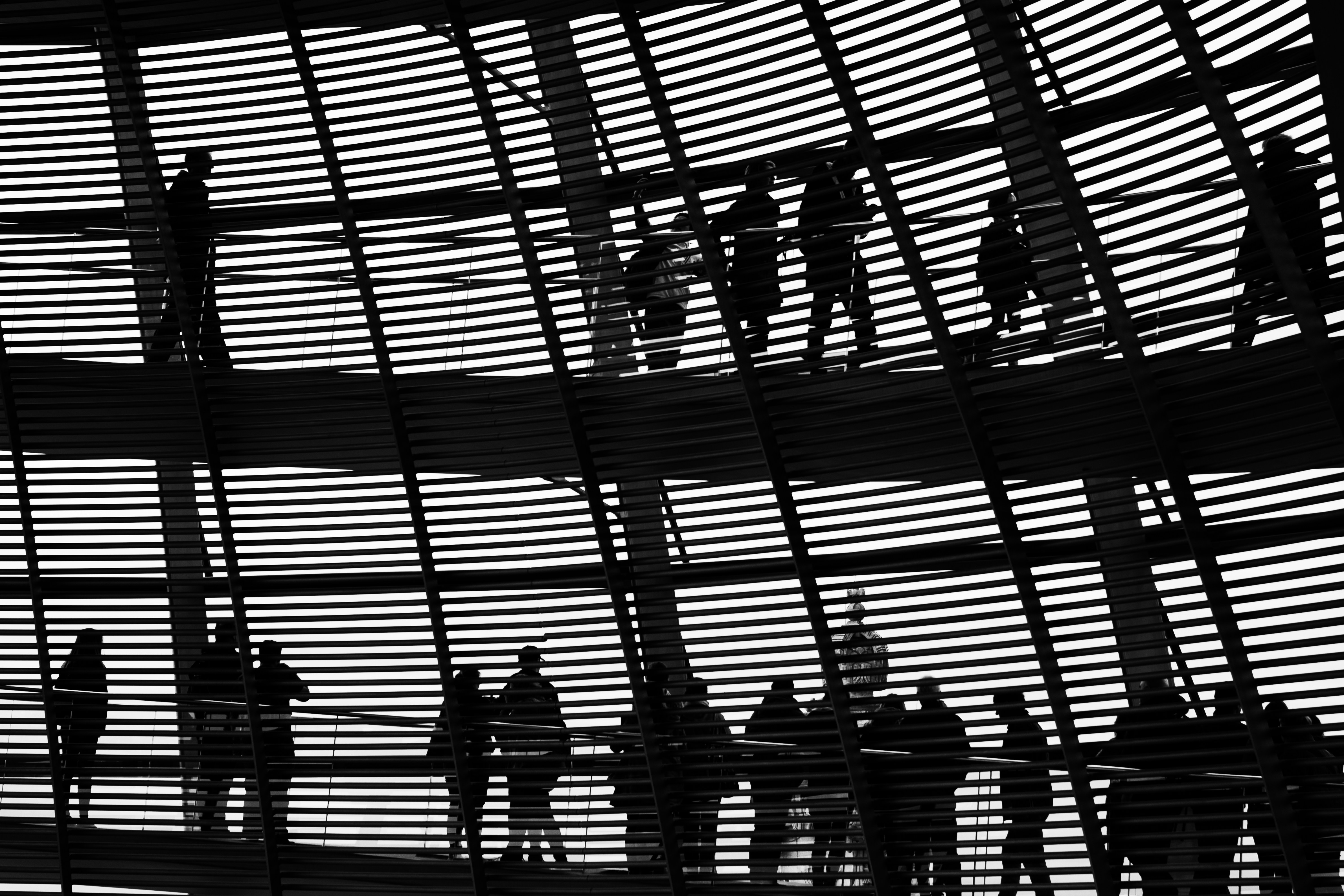 Silhouetted Footpath: Humans Crossing a Curved Glass Atrium