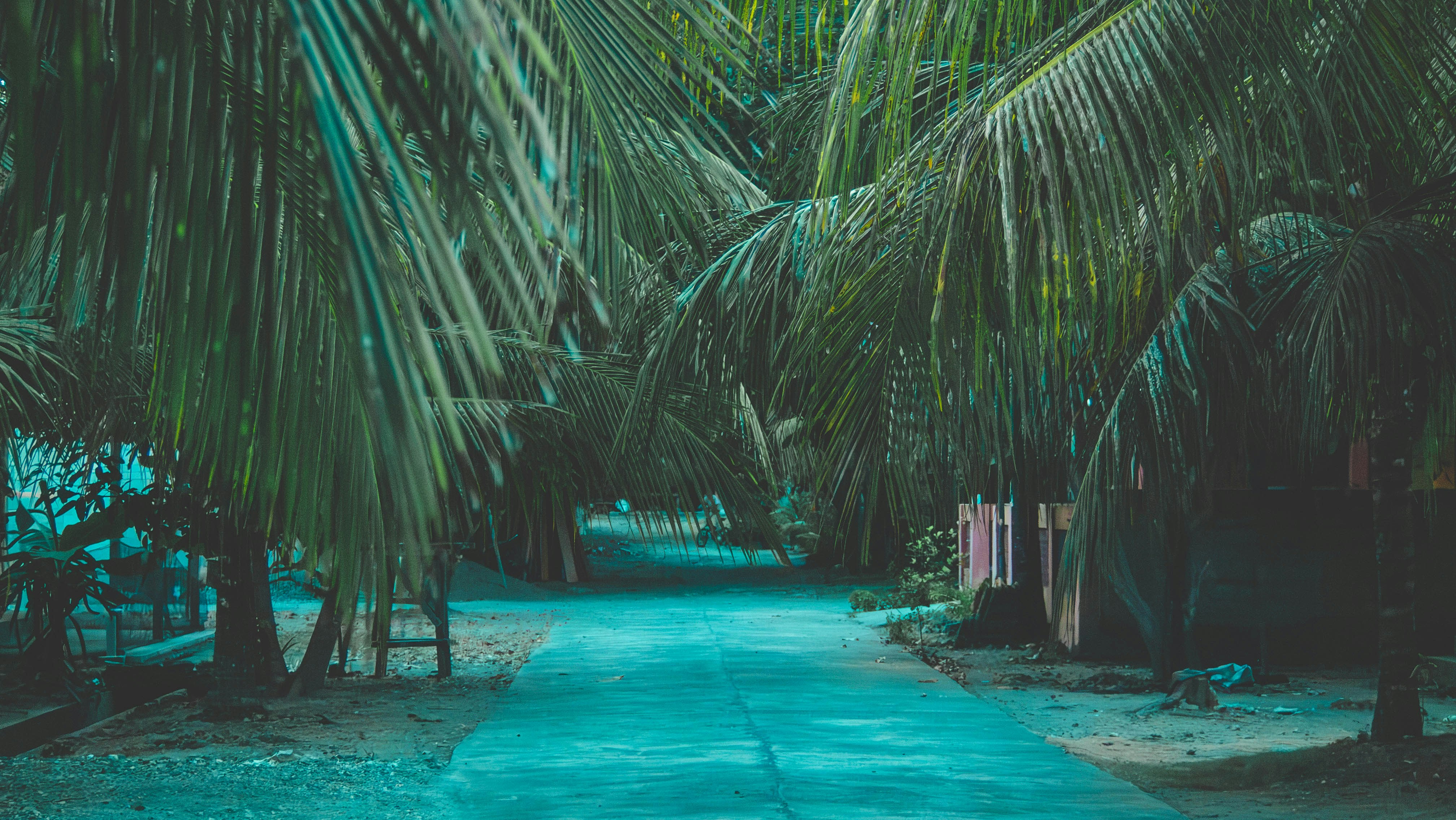 A narrow palm-fringed walkway extends into a tropical corridor, bathed in cool turquoise light that filters through dense foliage. The scene emphasizes a calm, secluded path toward a distant blue-green glow.