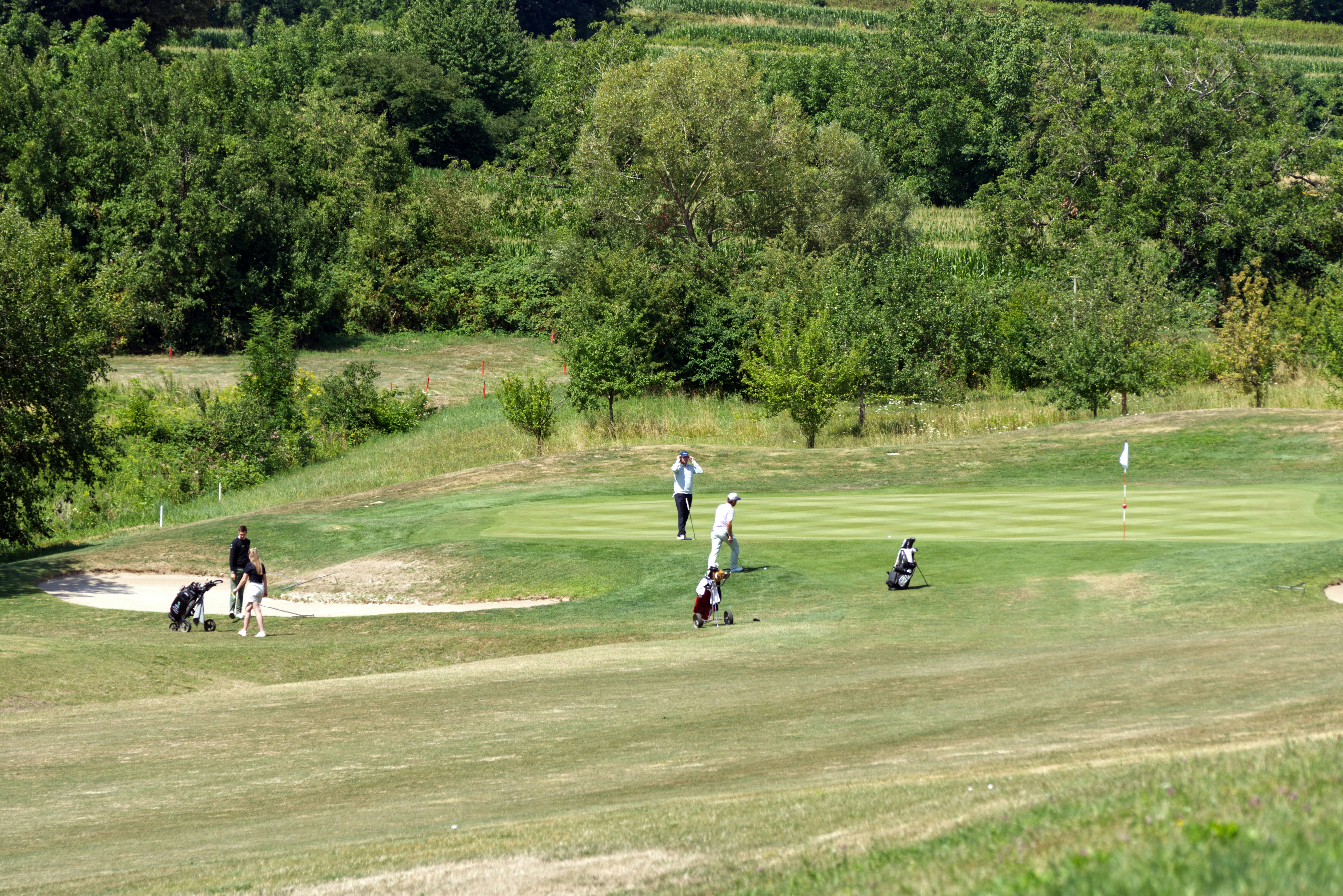 Golfer’s Perspective: Quiet Green Unfolding Across the Rolling Course