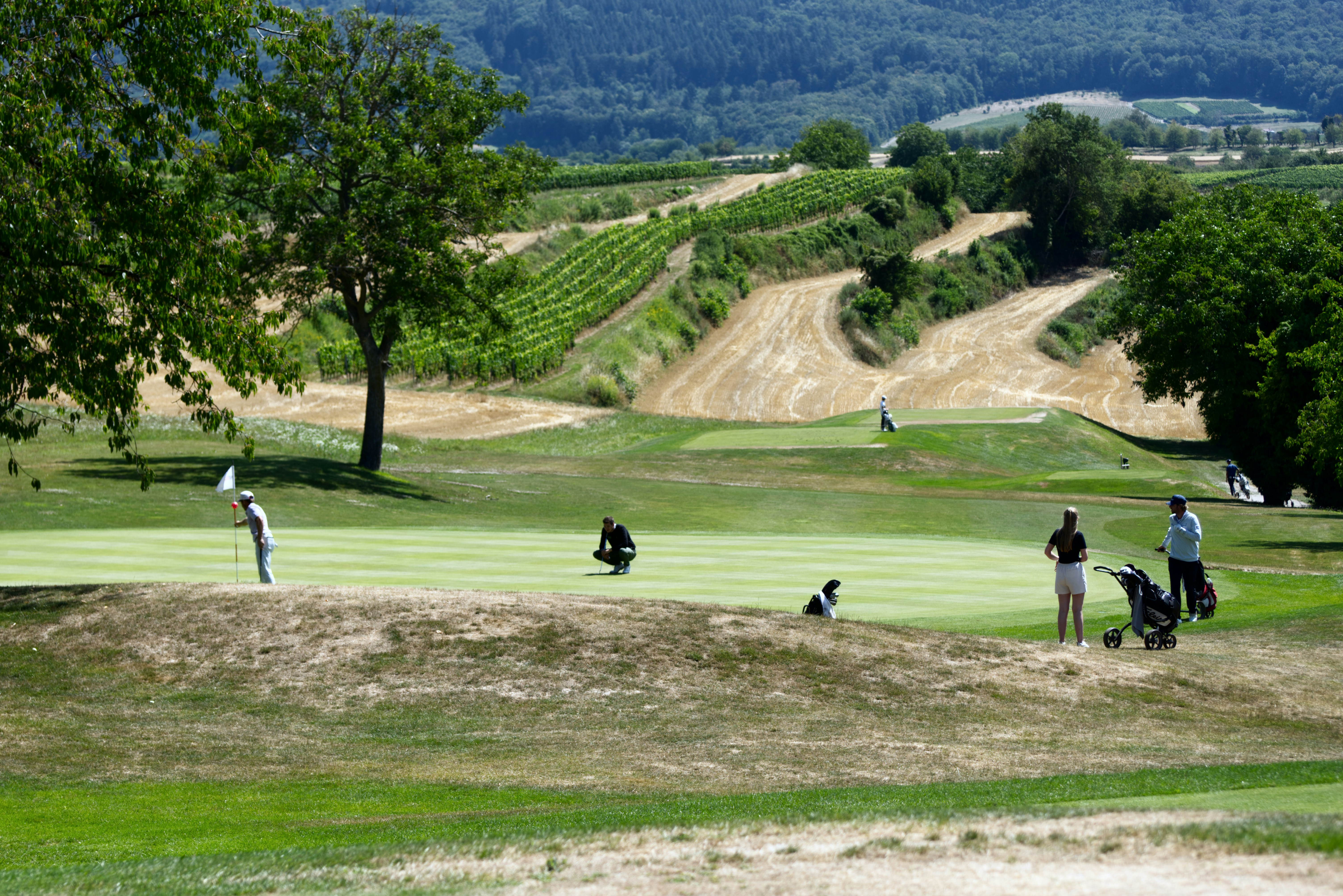 Silent Tee Lines Under a Winding Ridge