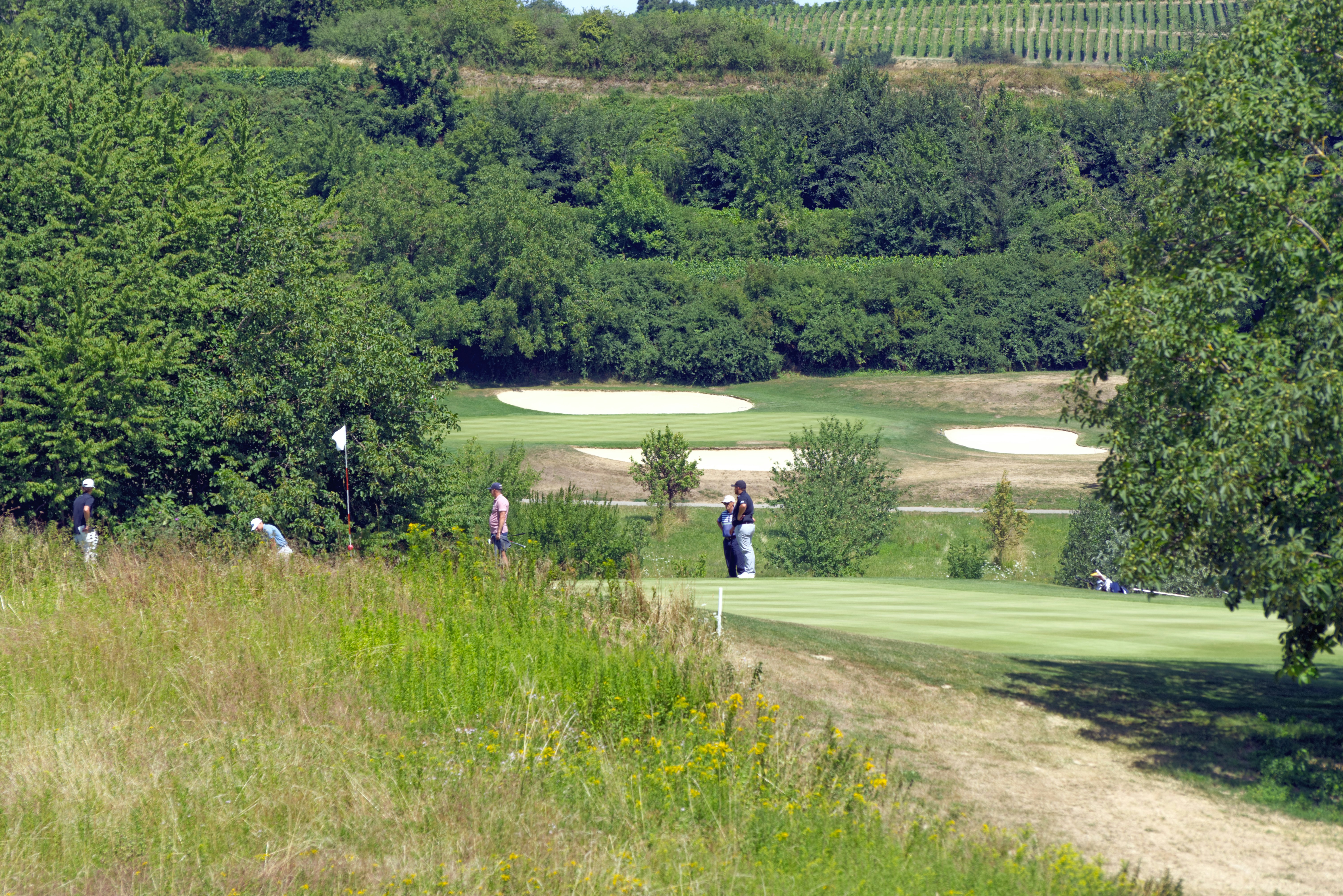 Caddies in the Green Gap: A Solitary Moment on the Course