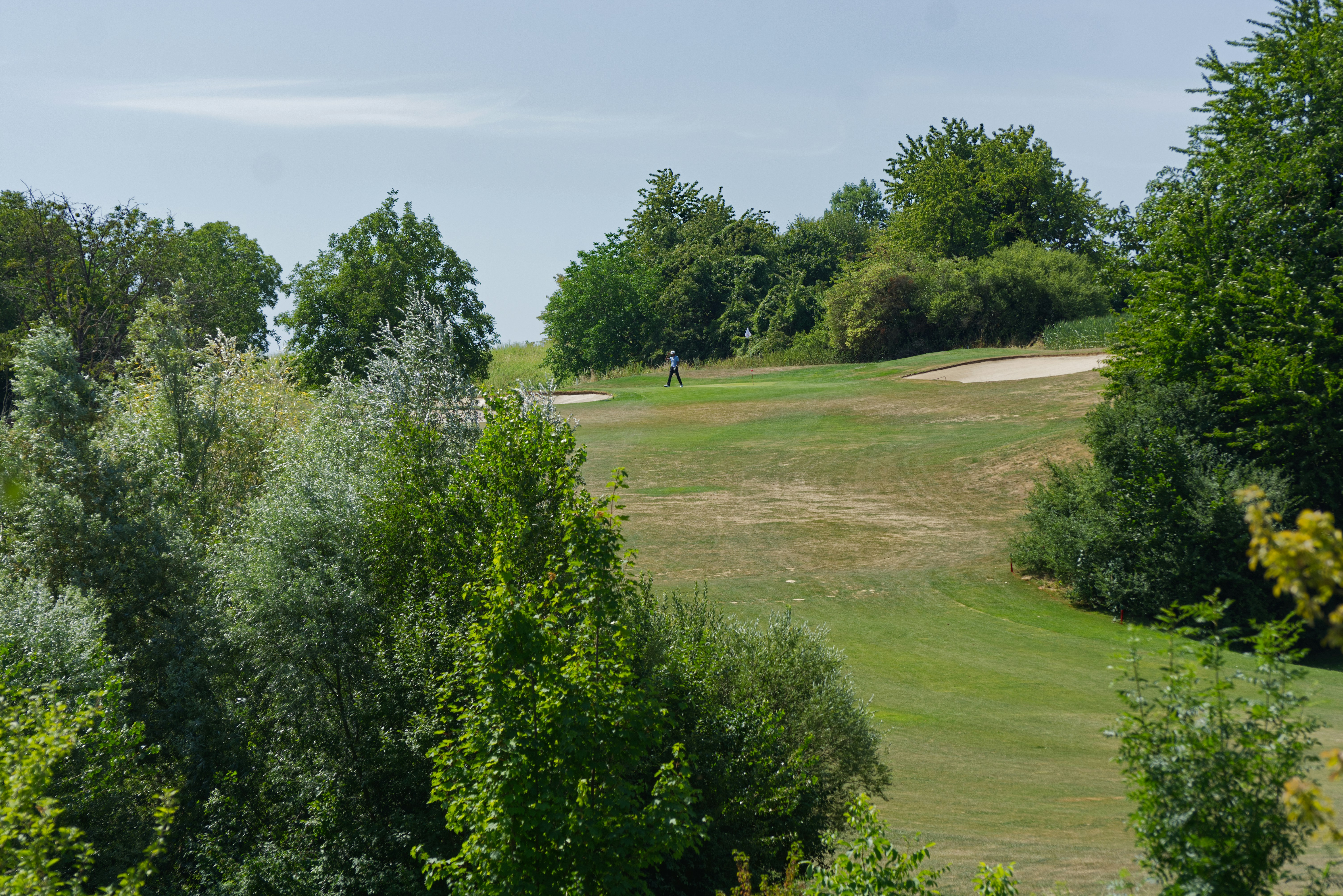  lone golfer on a sunlit fairway framed by hedges and trees