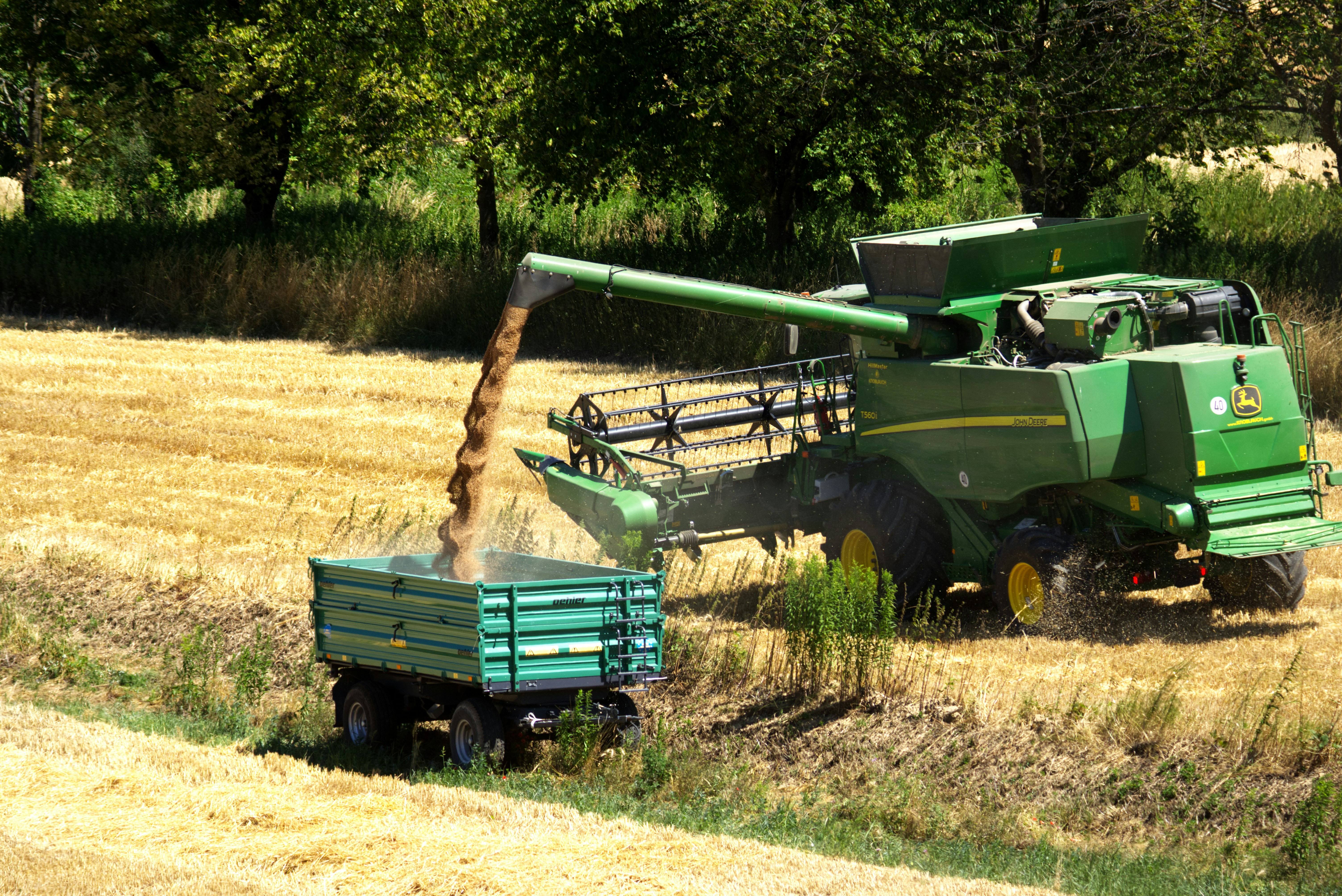 Harvest Relay: The Green Harvester Dumping Dawn