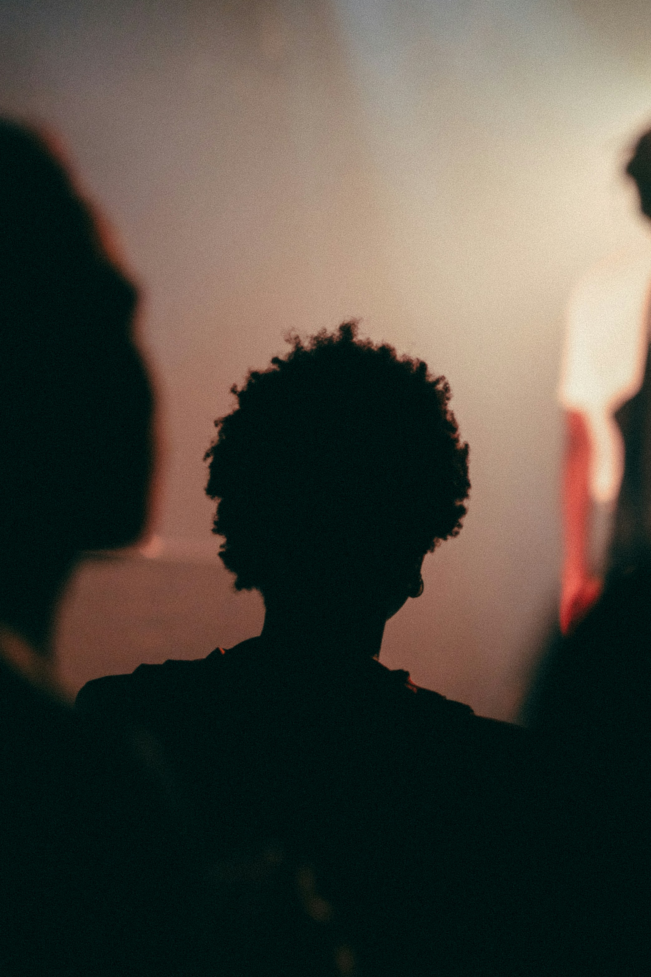 Silhouetted Spotlight: A Moment in the Backlit Crowd